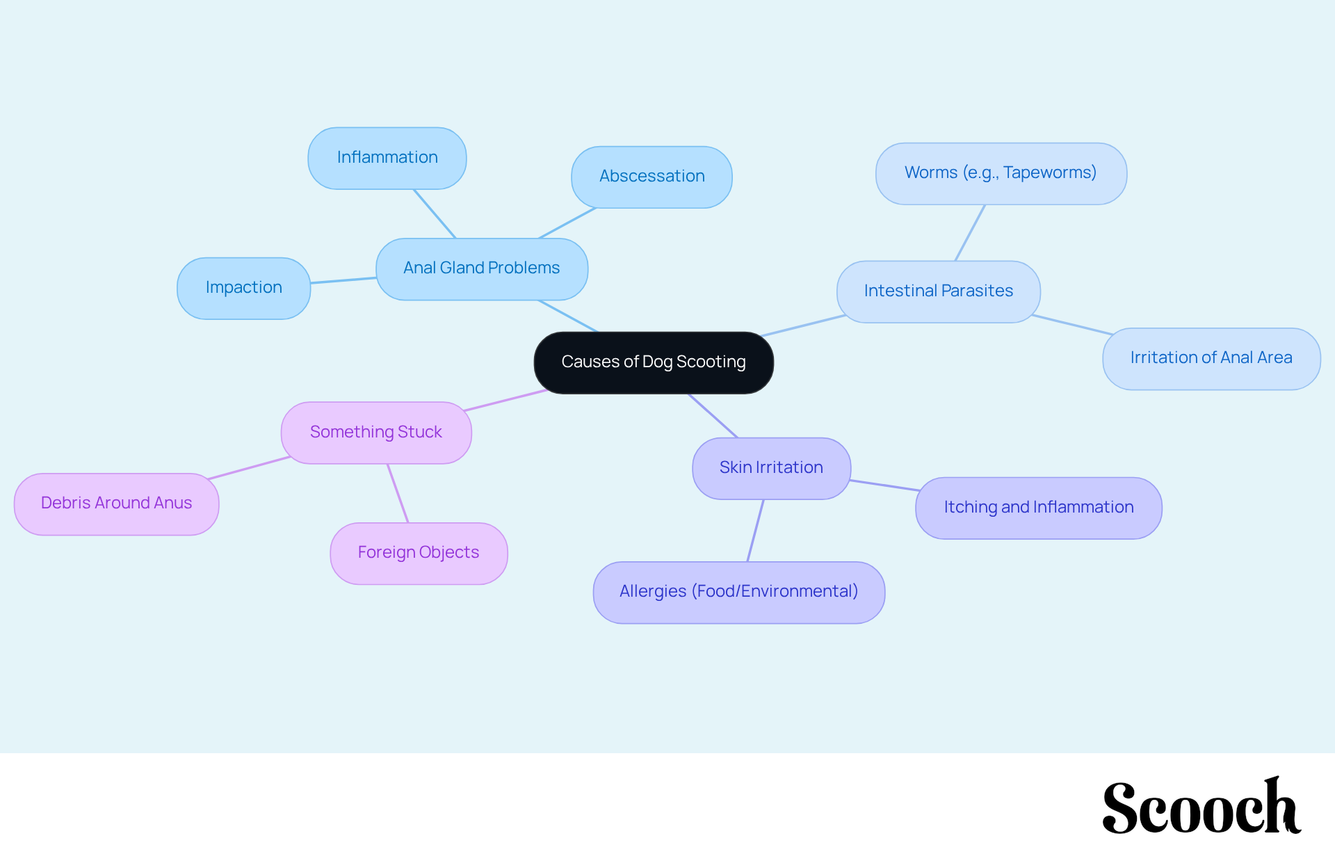 Why Do Dogs Scoot? Uncover Causes and Health Implications