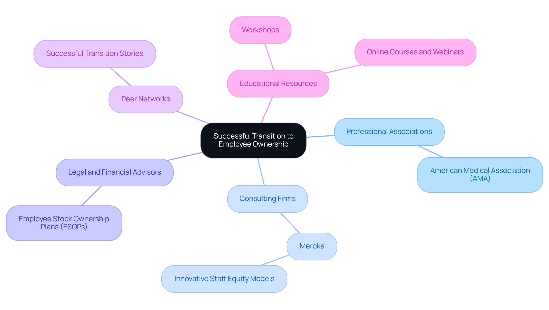 The central node represents the goal of a successful transition, while each branch shows different types of resources available to support physicians in this process. Explore each branch to discover specific organizations and tools that can help.