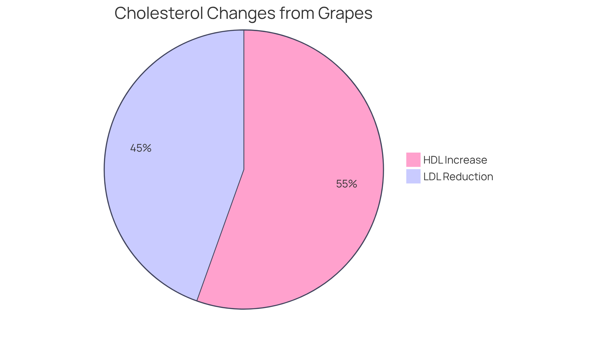 The dark purple slice shows how much LDL cholesterol can be reduced by consuming grapes, while the lighter slice represents the increase in HDL cholesterol. Together, they illustrate the heart health benefits of grapes.