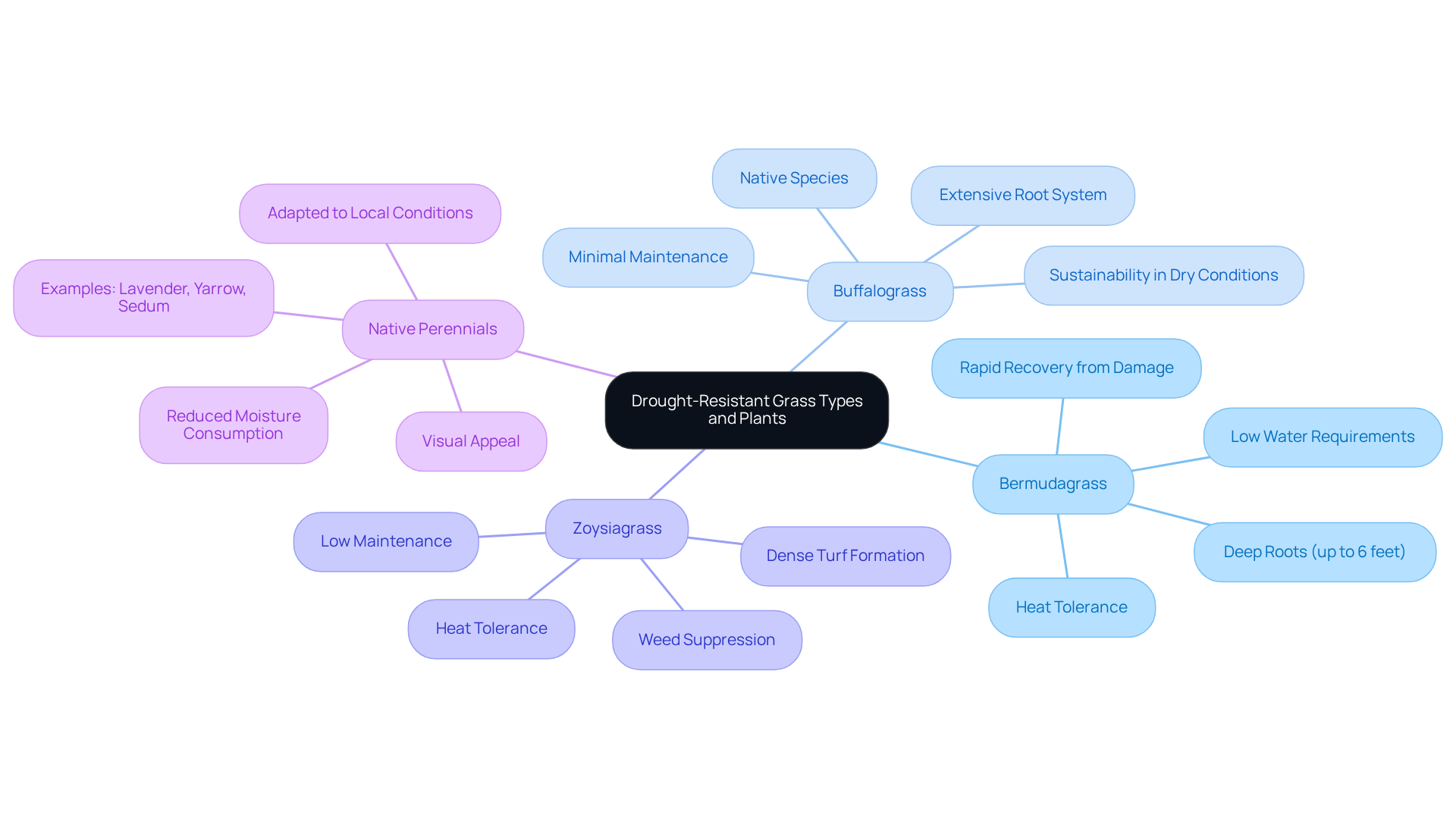 This mindmap starts with the main idea of drought-resistant plants in the center. Each branch represents a different type of grass or plant, and the sub-branches provide details about their benefits and characteristics. Follow the branches to explore how each option contributes to a sustainable and water-efficient landscape.