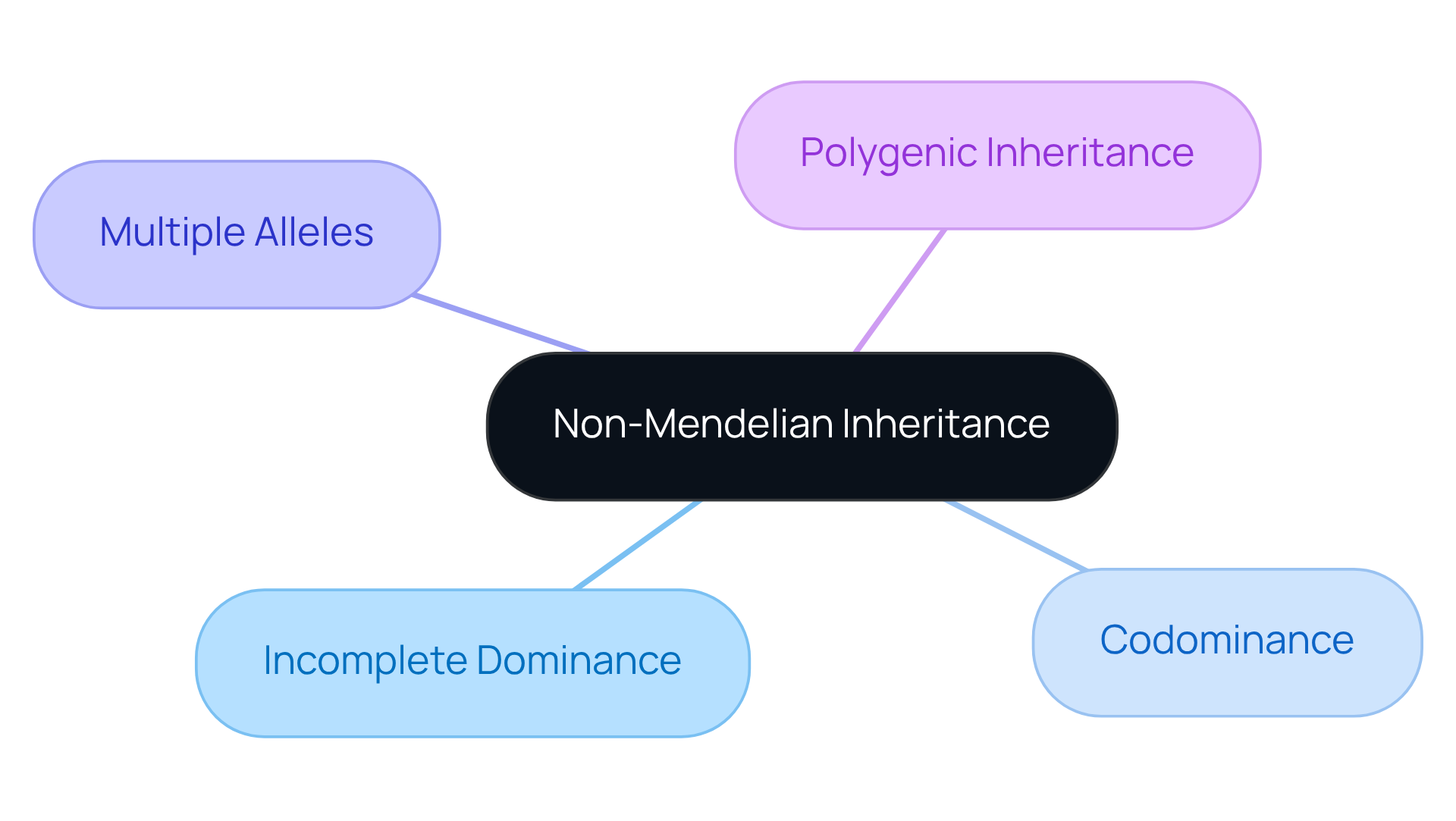 The center shows the main idea of non-Mendelian inheritance, and the branches represent different patterns of inheritance. Each branch highlights a unique way that traits can be passed on, expanding our understanding beyond Mendel's original laws.