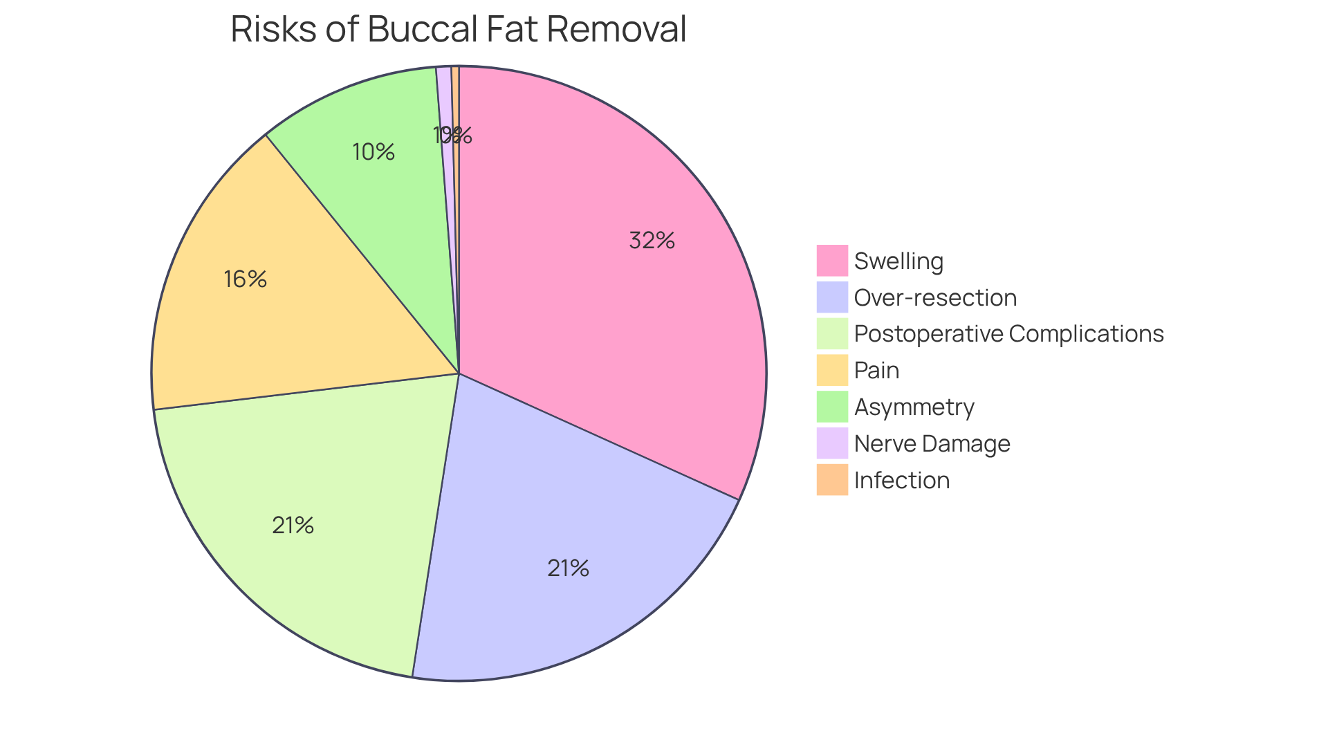 Each slice of the pie shows the likelihood of experiencing a specific risk after buccal fat removal. The larger the slice, the more common that risk is among patients.