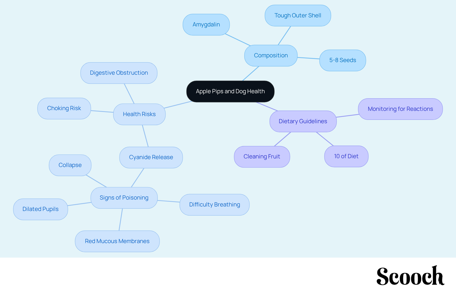 The central node represents the main topic, while branches show different aspects of apple pips, including what they are, potential risks, and how to safely include fruits in your dog's diet. The central node represents the main topic, while branches show different aspects of apple pips, including what they are, potential risks, and how to safely include fruits in your dog's diet.