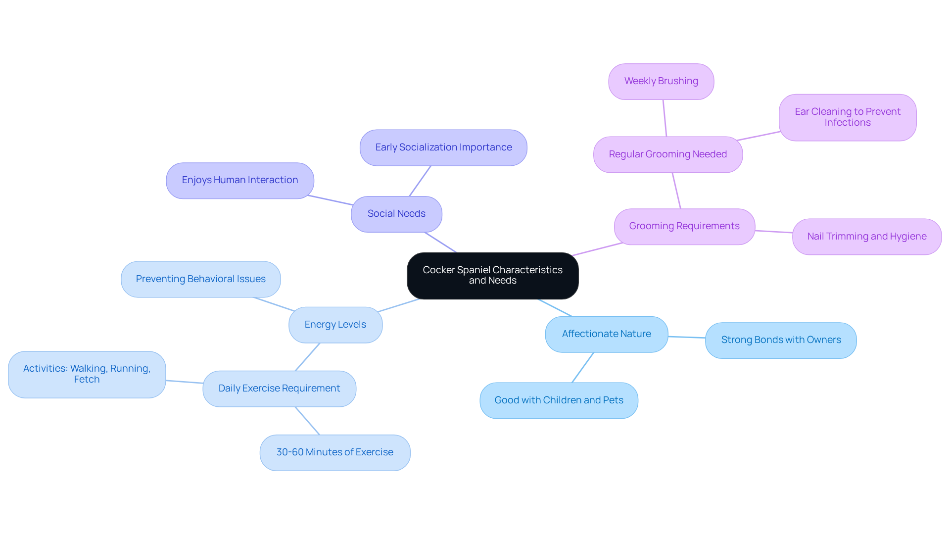 The central node represents the Cocker Spaniel, and the branches detail their key characteristics. Each branch explains a different need or trait, helping you understand what makes this breed special. The central node represents the Cocker Spaniel, and the branches detail their key characteristics. Each branch explains a different need or trait, helping you understand what makes this breed special.