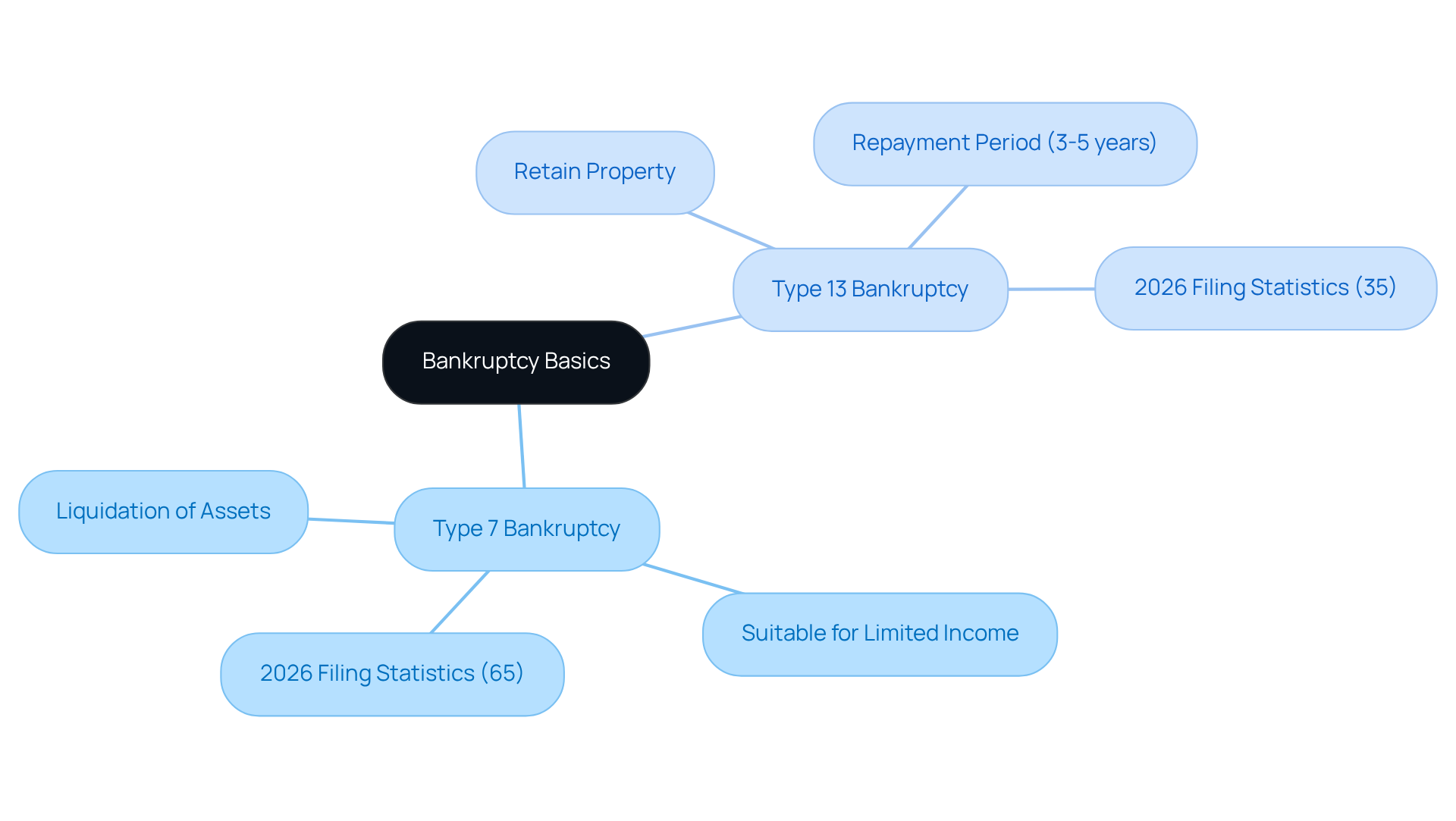 This mindmap starts with the main topic of bankruptcy and branches out into two types. Each type has its own features and statistics, helping you see how they differ and what might be relevant for your situation.