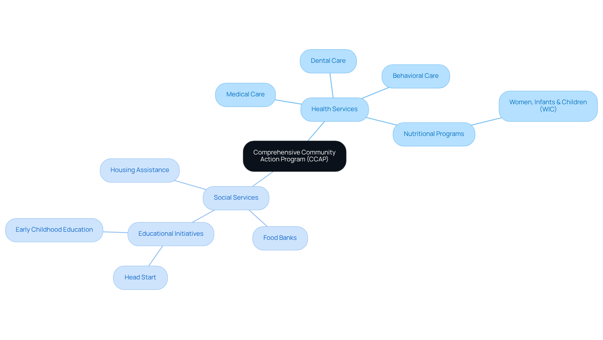 The center represents CCAP, with branches showing the different types of support services available. Each color-coded branch helps you quickly identify whether the service is health-related or social, illustrating how CCAP supports families in multiple ways.