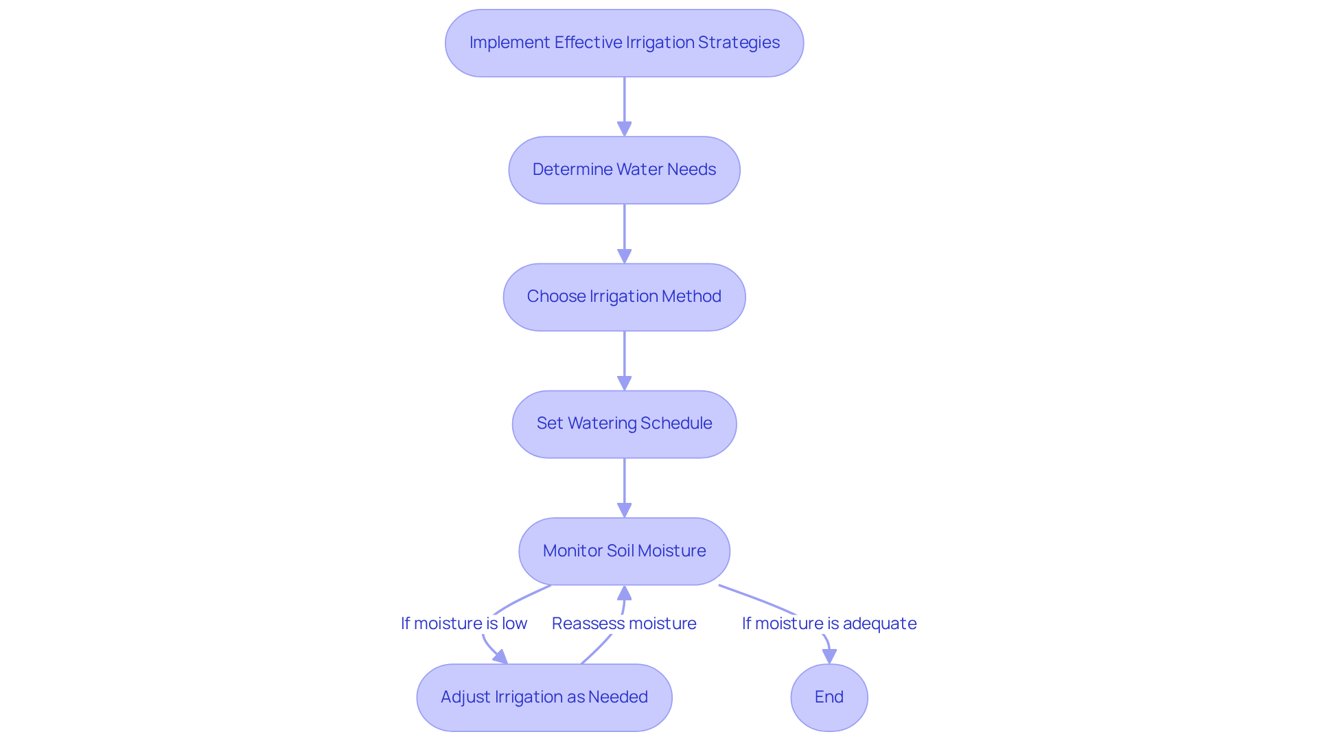 Follow the arrows to see the recommended steps for maintaining a healthy lawn through effective irrigation. Each step guides you on what to do next, ensuring your lawn gets the right amount of water at the right time.