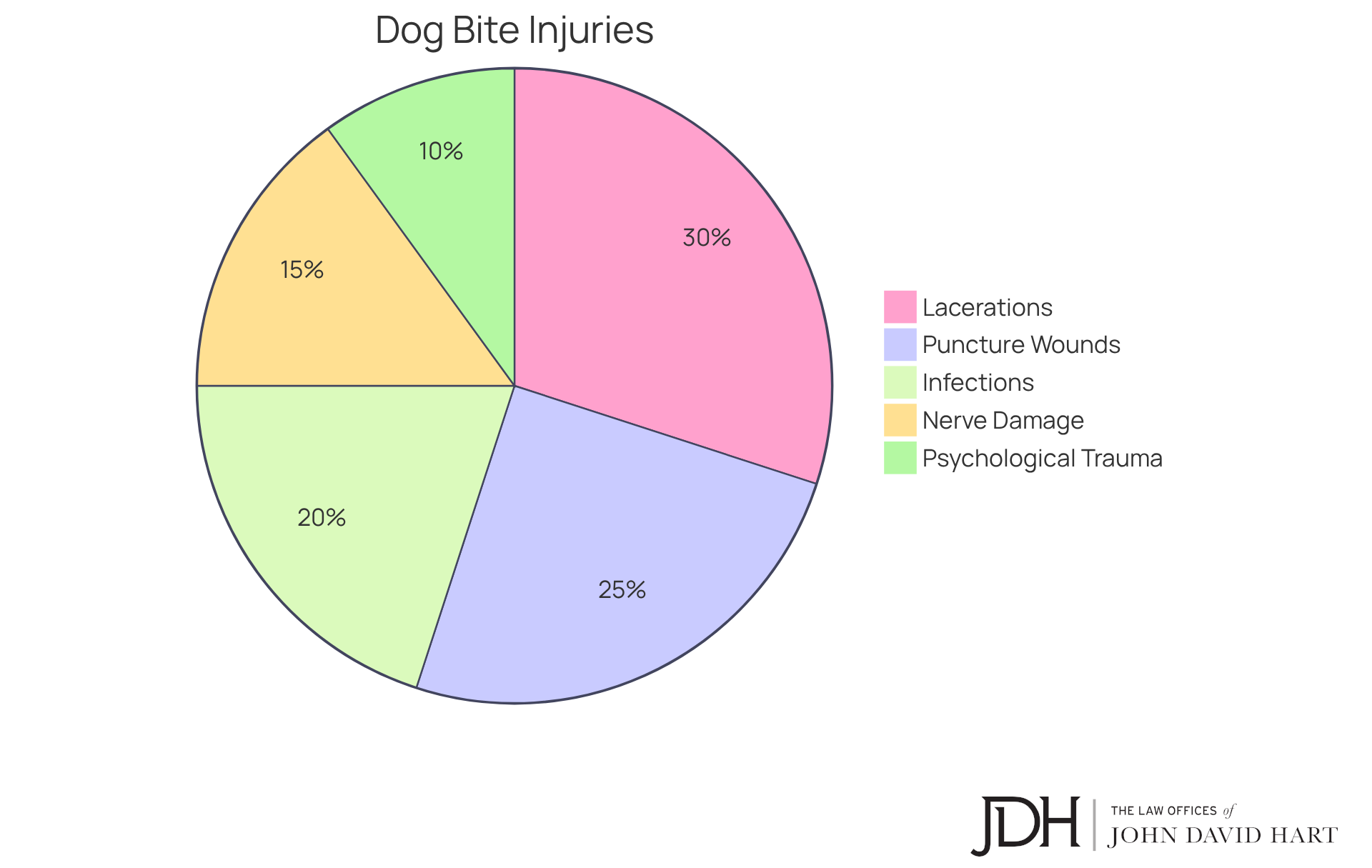 Each slice of the pie represents a different type of injury caused by dog bites. The size of each slice indicates how common or significant that injury type is among victims. The bigger the slice, the more prevalent that type of injury is.