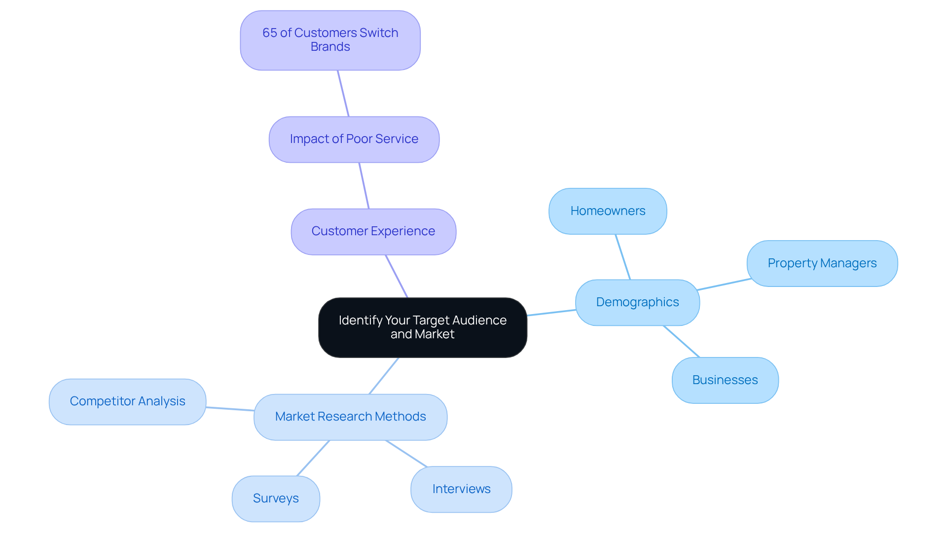Start at the center with the main topic of identifying your target audience. Branch out to see various demographics, methods for market research, and how customer experience affects brand loyalty. Each color-coded branch represents a different aspect, making it easy to follow and understand.