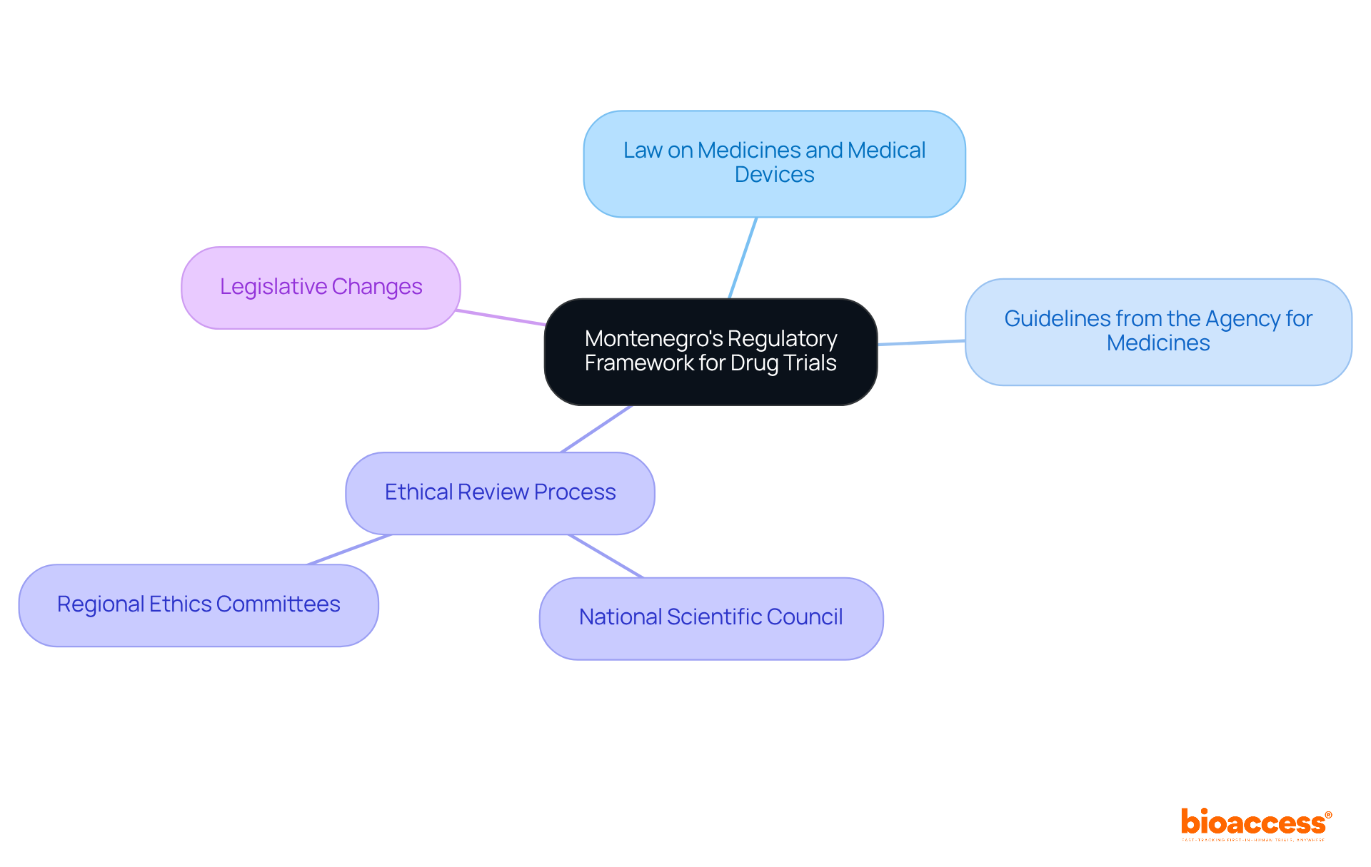 The central node represents the overall framework, while branches show specific laws, guidelines, and review processes. Each color-coded branch helps you see how different components relate to the main topic.