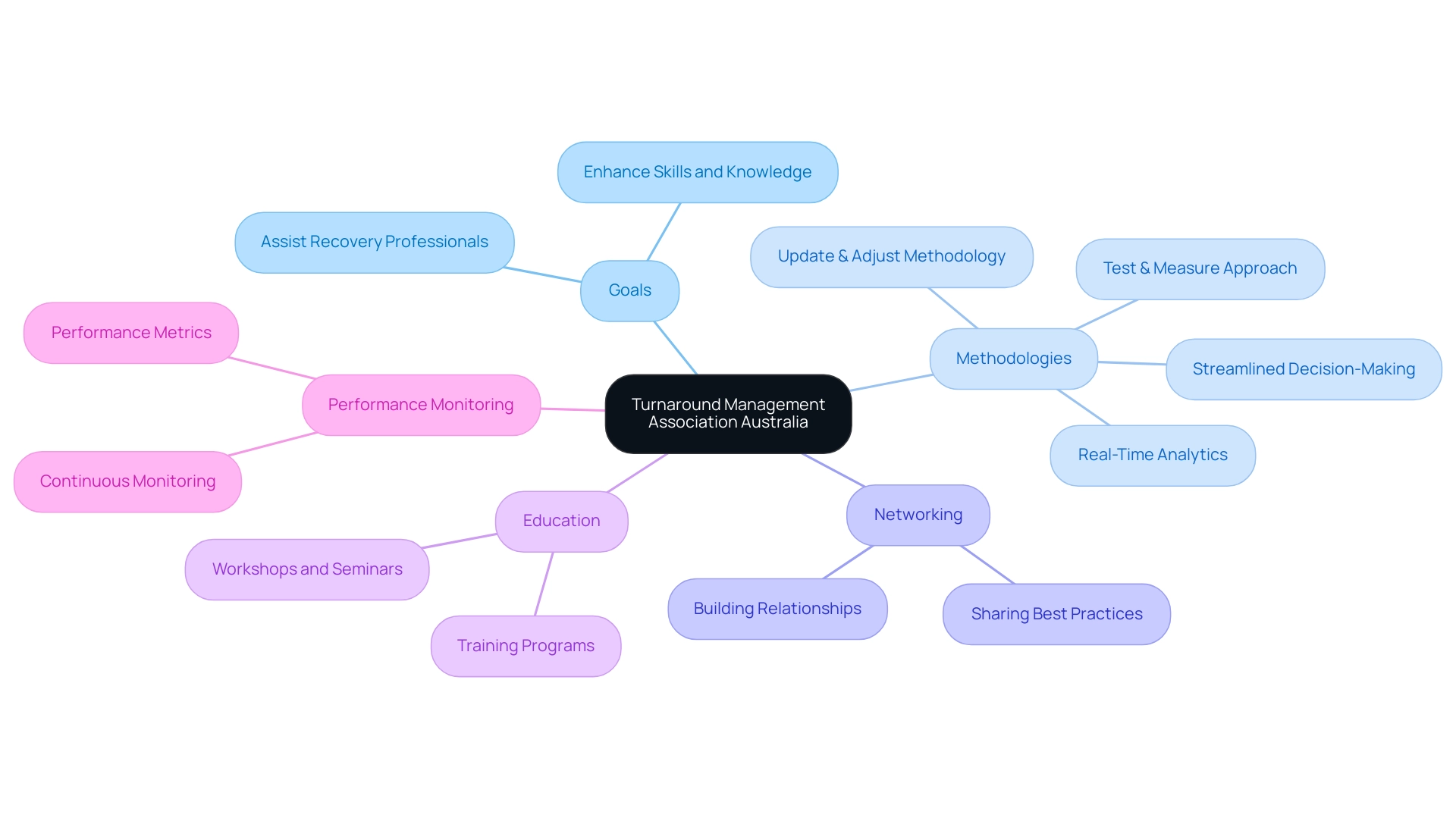 The central node represents the association, with branches illustrating its goals, methodologies, networking opportunities, education efforts, and performance monitoring strategies.