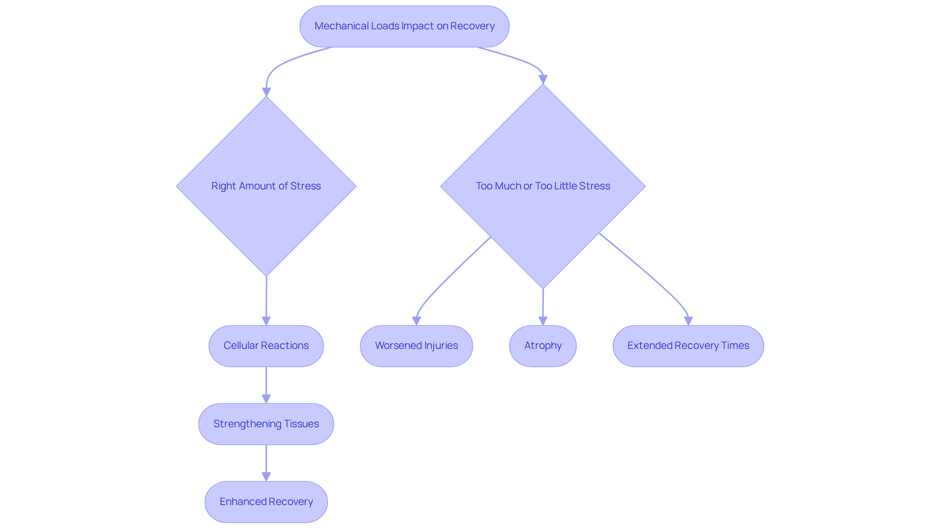 This flowchart shows how different levels of mechanical loading affect recovery from injuries. Follow the arrows to see how the right stress can lead to healing, while too much or too little can hinder progress. This flowchart shows how different levels of mechanical loading affect recovery from injuries. Follow the arrows to see how the right stress can lead to healing, while too much or too little can hinder progress.