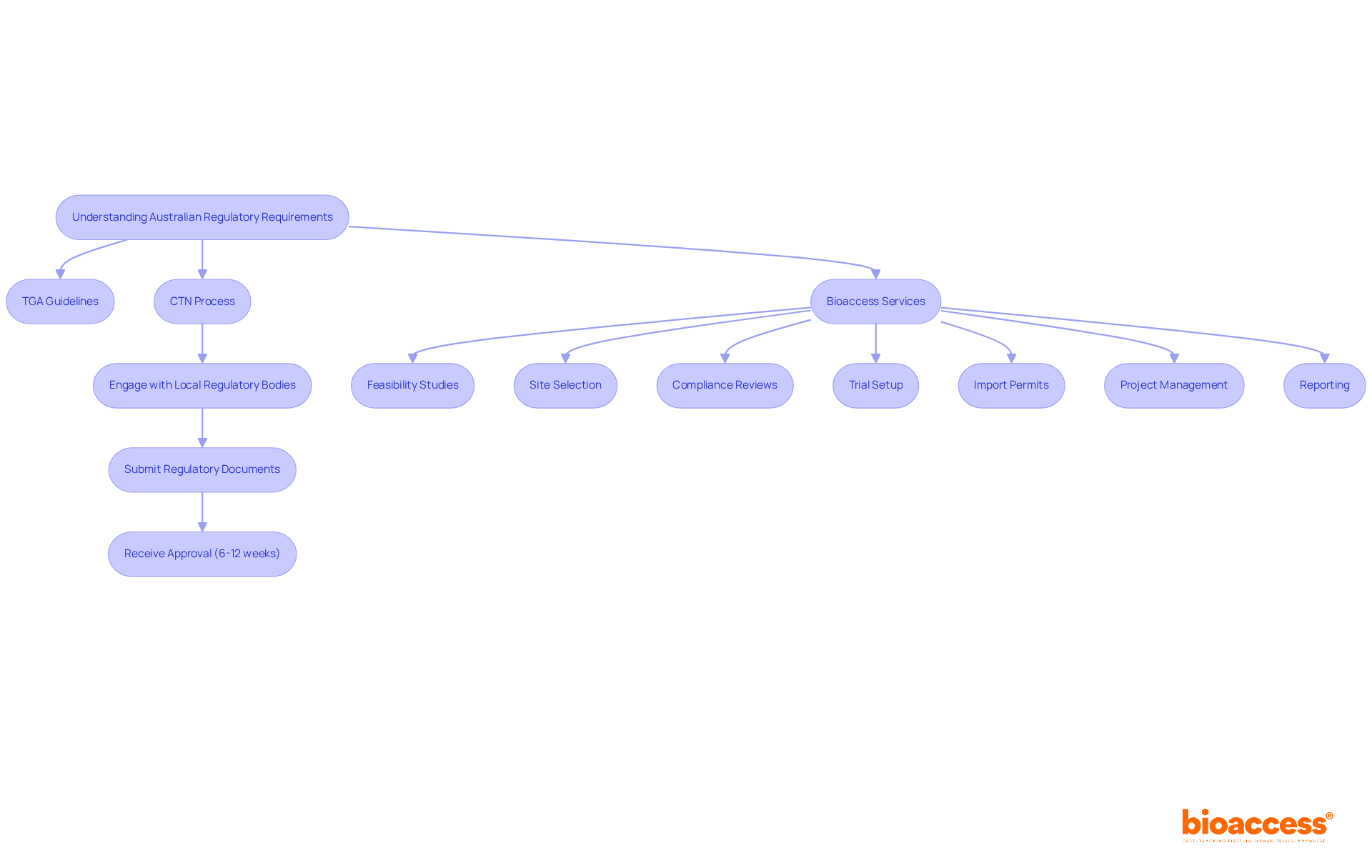 This flowchart outlines the steps and services involved in navigating the Australian regulatory landscape for clinical trials. Follow the arrows to see how each step connects, and refer to the services provided by Bioaccess to understand how they can assist in the process.