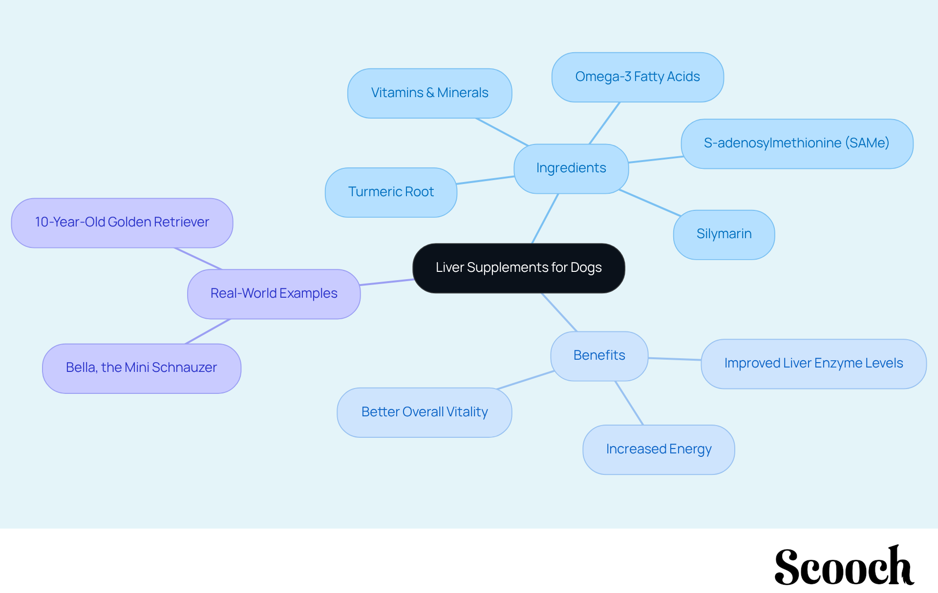 The center represents liver supplements, with branches showing ingredients, their benefits, and success stories. Each branch helps you understand how these supplements can support your dog's health.