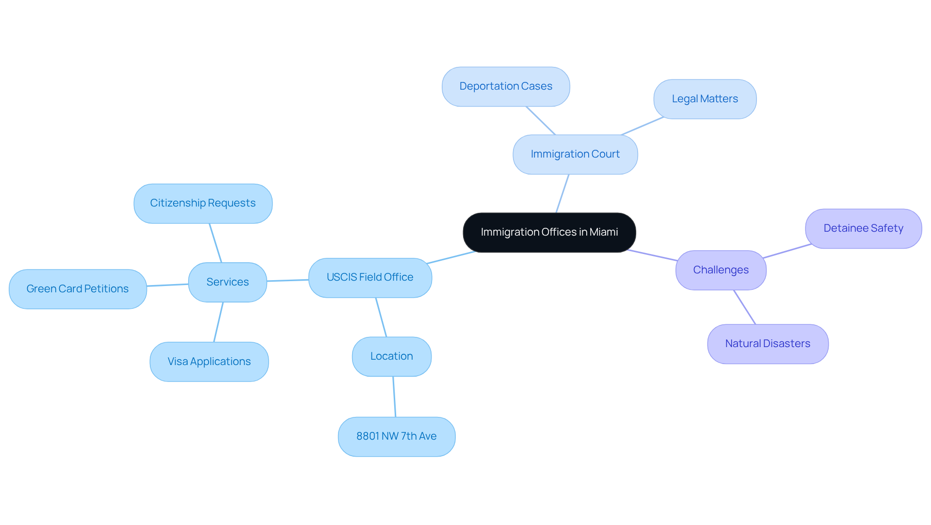 This mindmap shows the main immigration offices in Miami and what they do. Each branch represents a different office or challenge, helping you see how they connect and what services they provide.