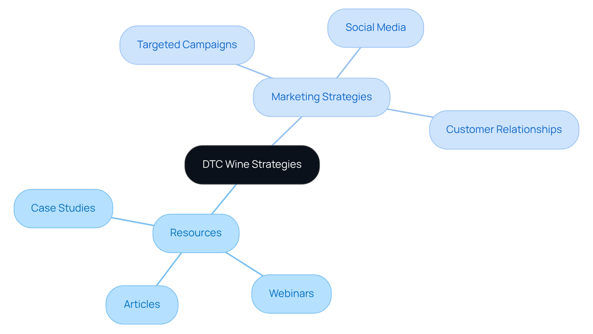 The center represents the main focus on DTC strategies, while the branches show different types of resources and marketing approaches. Each branch highlights key areas that producers can explore to boost their sales.