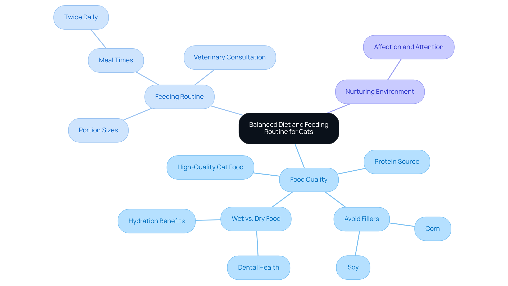 The central node shows the main topic, while the branches highlight key areas of focus. Each sub-branch provides specific details and actions related to feeding and caring for your cat.
