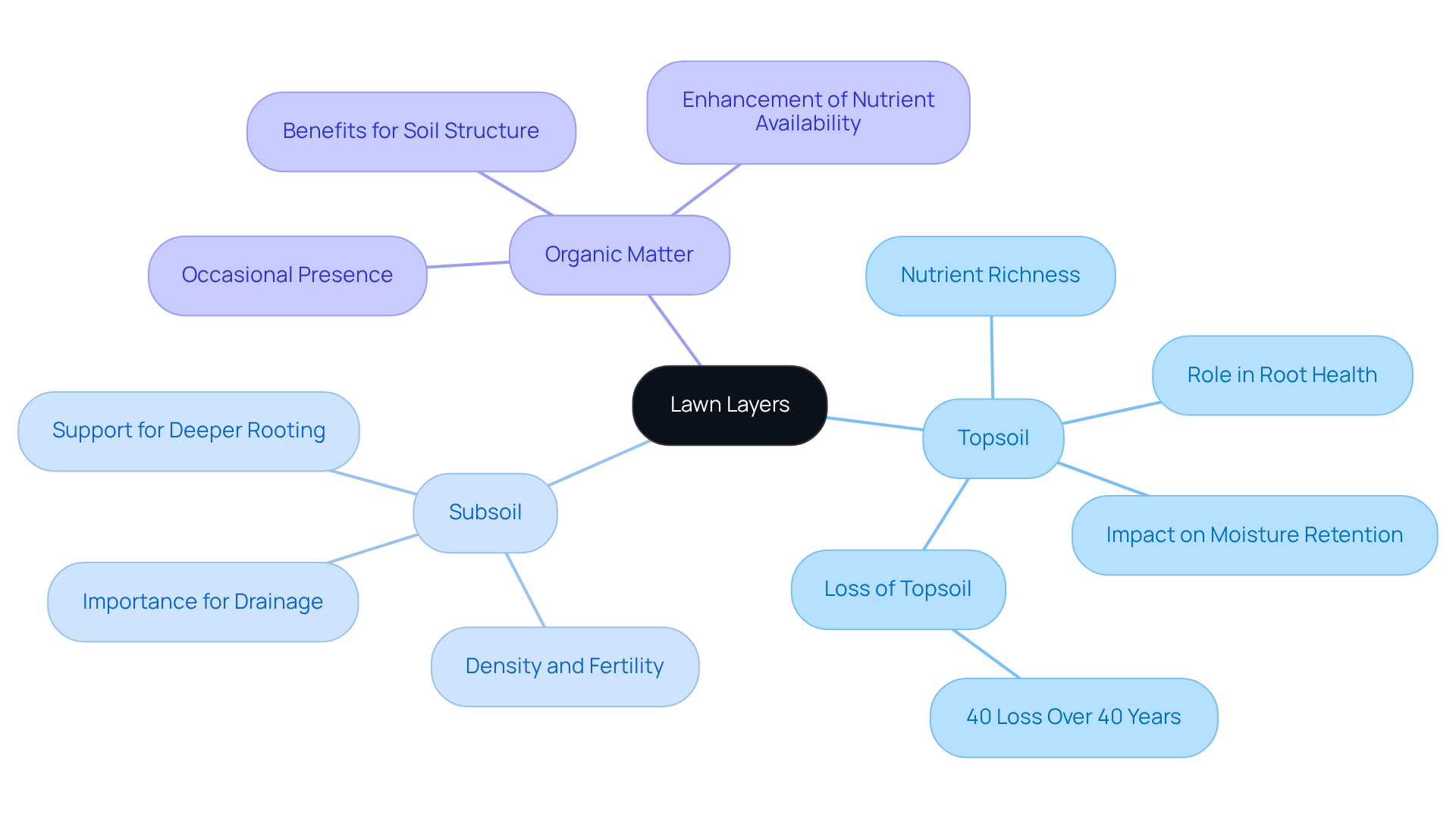 The central node represents the concept of lawn layers, while the branches show the different types of soil and materials beneath the grass. Each branch explains the role of that layer in maintaining a healthy lawn.