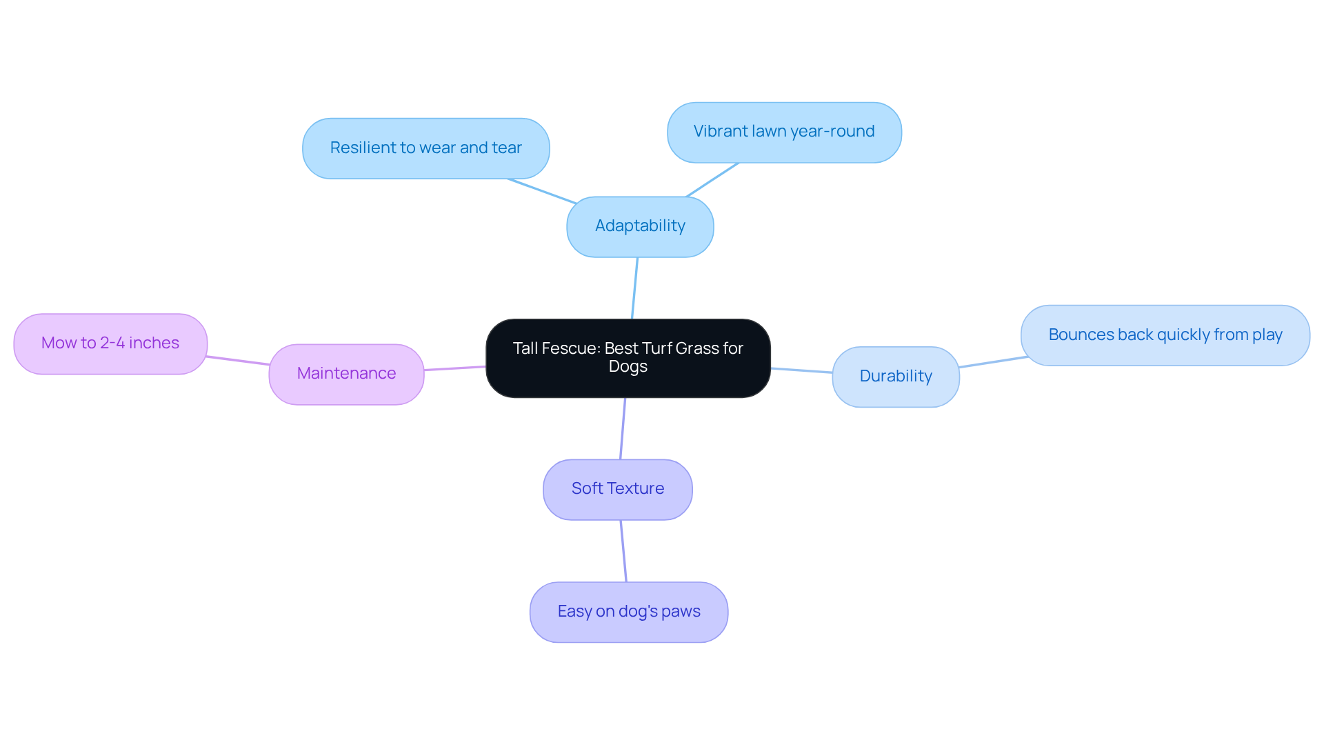 This mindmap shows why Tall Fescue is great for dogs. Start at the center with the main idea, then follow the branches to see its key features and how to care for it. Each branch highlights an important aspect, making it easy to understand why this grass is a top choice for dog owners. This mindmap shows why Tall Fescue is great for dogs. Start at the center with the main idea, then follow the branches to see its key features and how to care for it. Each branch highlights an important aspect, making it easy to understand why this grass is a top choice for dog owners.