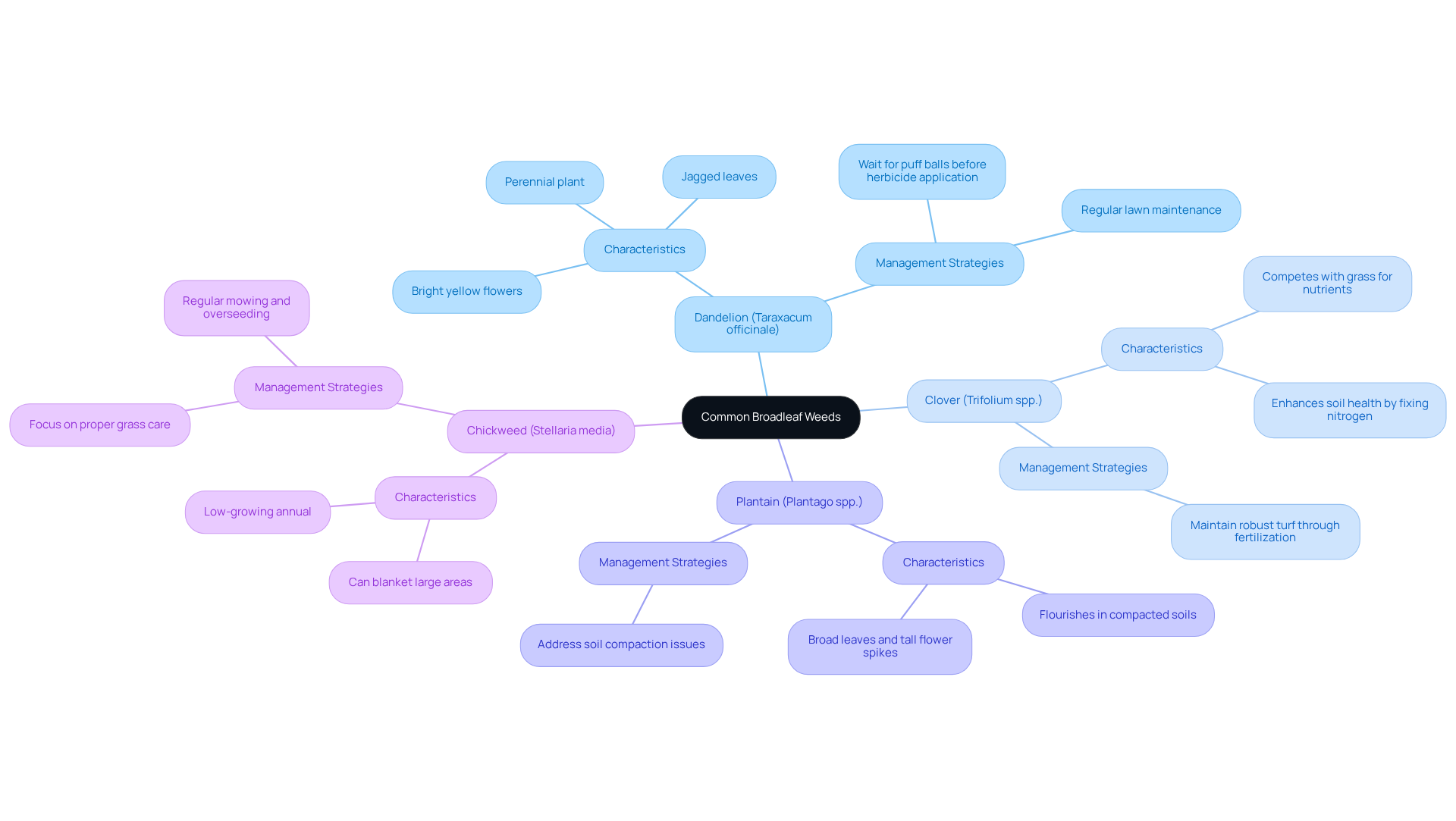 The central node represents the main topic of broadleaf weeds. Each branch shows a specific weed, and the sub-branches provide details on its characteristics and how to manage it effectively.