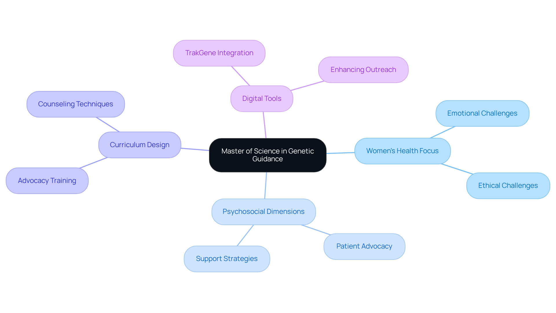 Start at the center with the main program, then explore the branches to see how each aspect contributes to the overall educational experience.
