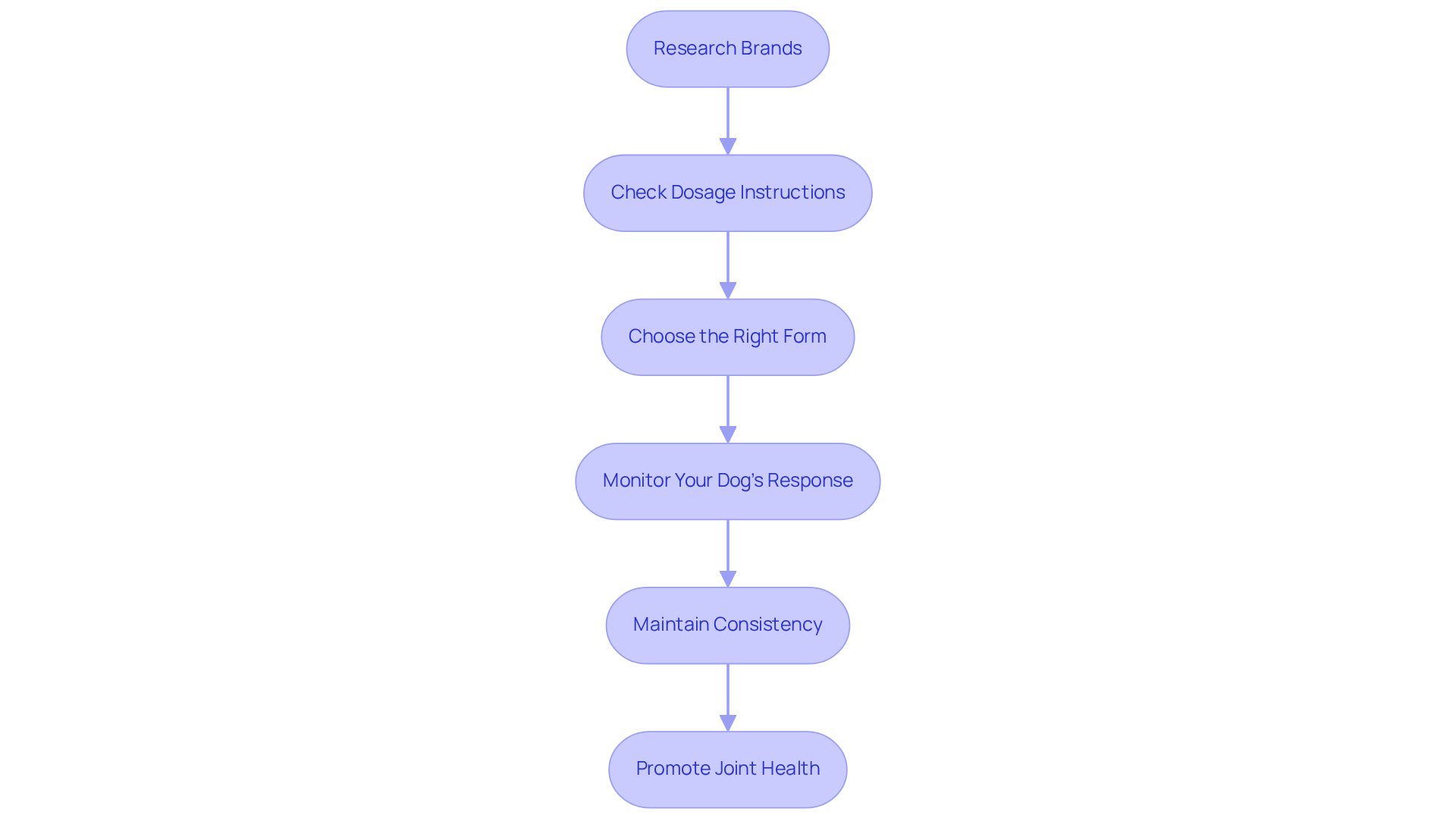 Each box represents an important step in helping your dog with joint supplements — follow the arrows to make sure you're covering all the bases for their health!