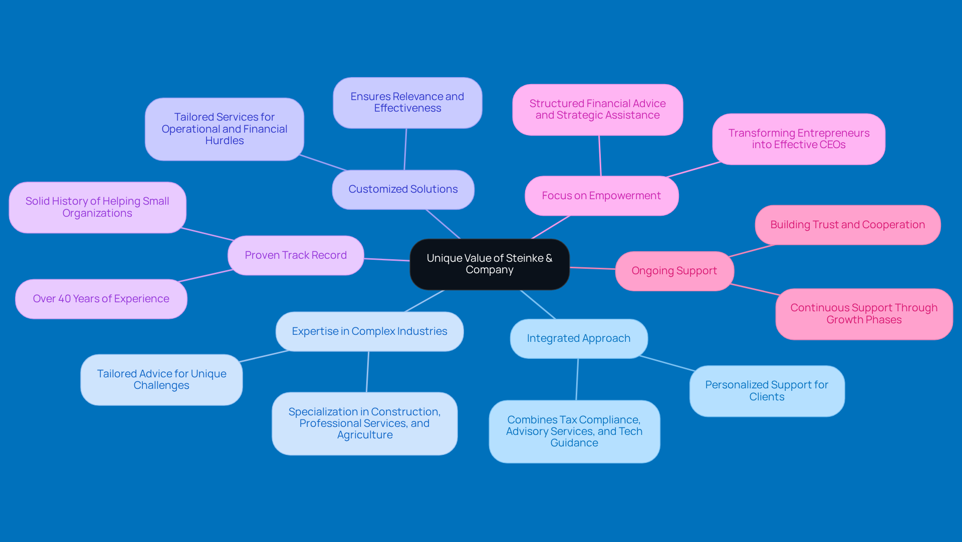 This mindmap illustrates the unique strengths of Steinke & Company. Start at the center to see how they support small agencies, then follow the branches to explore each specific area of expertise and the benefits they offer.