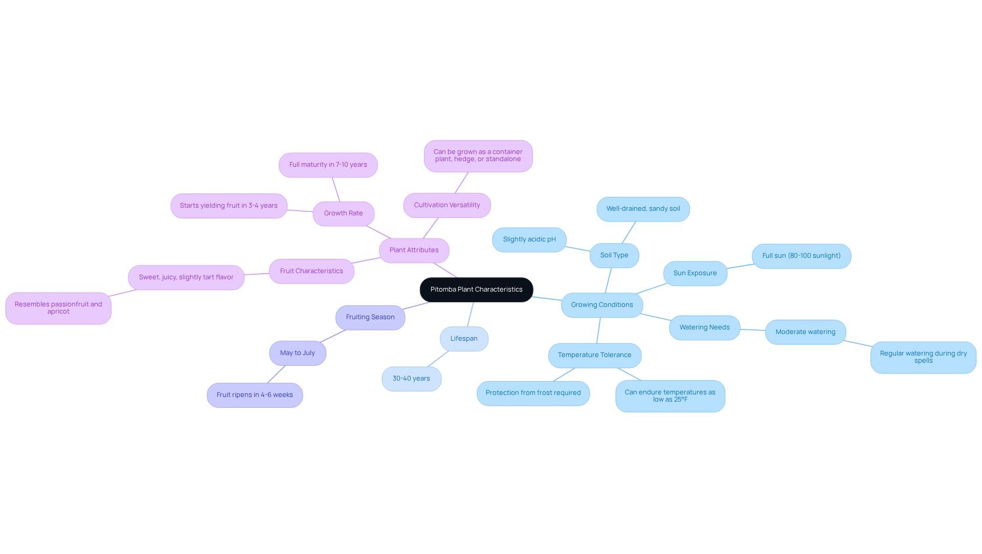 The center shows the Pitomba plant, and each branch and sub-branch provides details about its growth needs and features. Follow the branches to learn about what the plant needs to thrive!