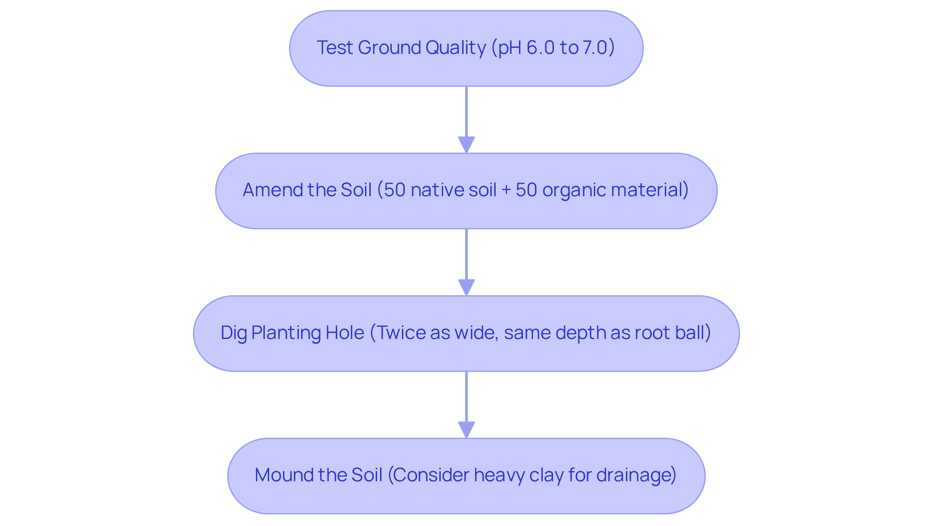 Follow the boxes from top to bottom to understand each step you need to take in preparing the soil. Each box represents a key action to ensure your ilama tree has the best chance to thrive.