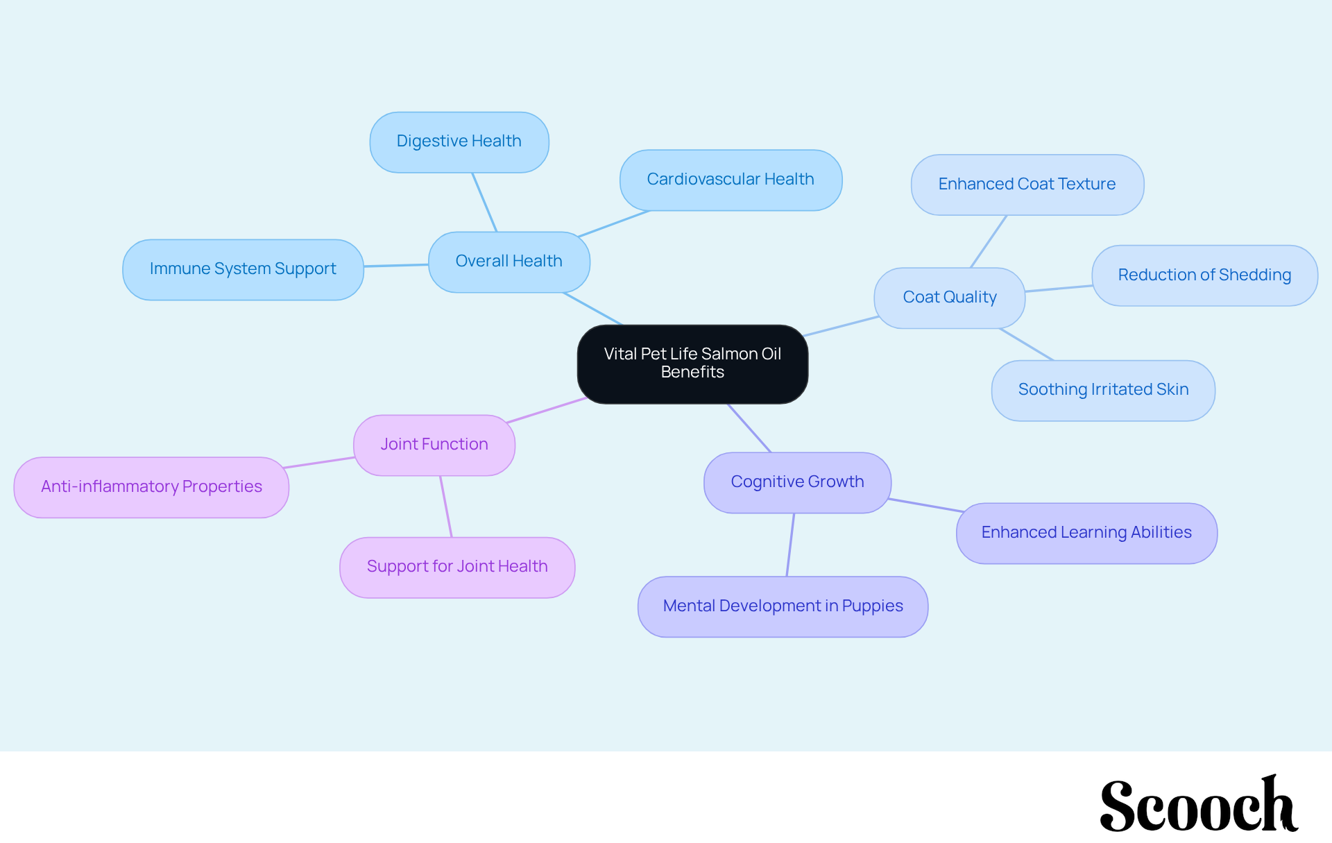 The central node represents the main product benefits, while the branches show how it supports different aspects of your dog's health. Each color-coded branch highlights a specific area of improvement, making it easy to understand the overall advantages.
