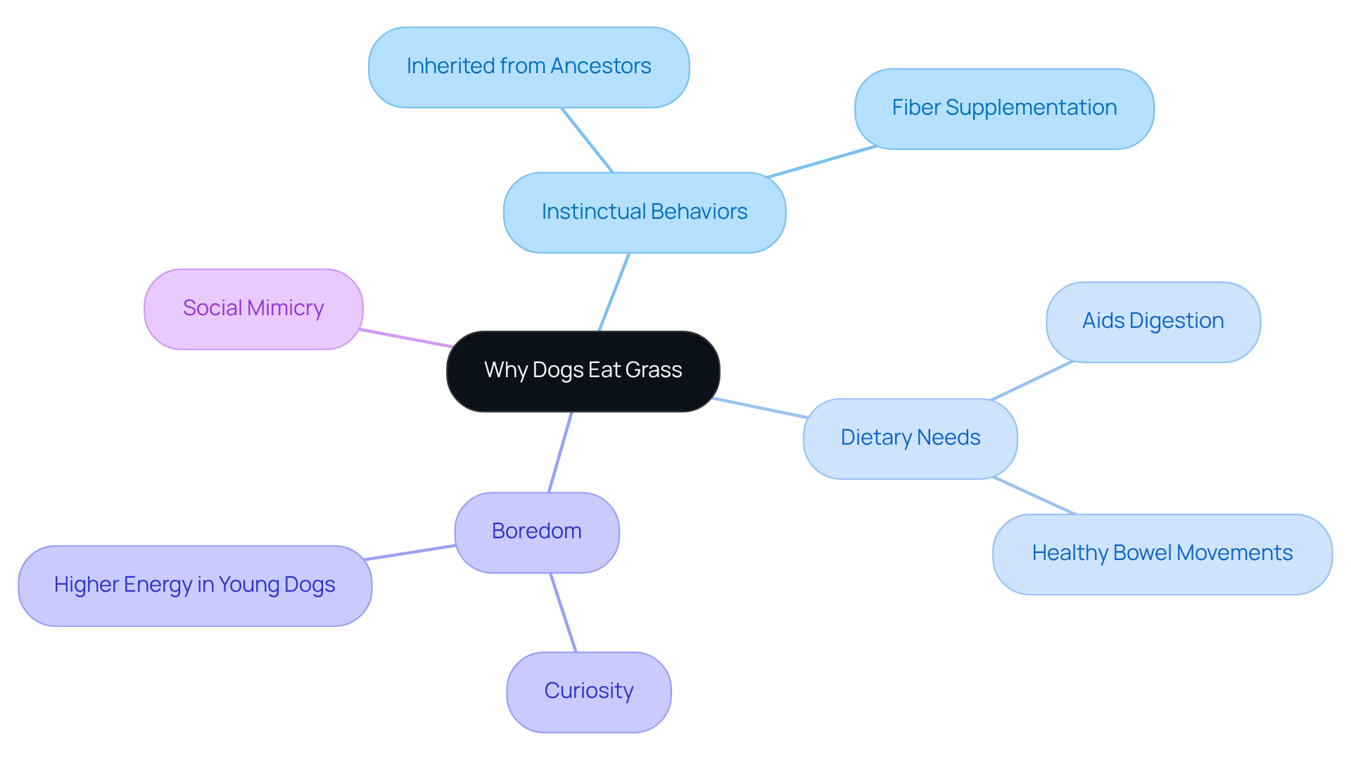 The central idea is why dogs eat grass, with branches showing different reasons. Each color represents a different category of behavior or need, helping you see how they connect.