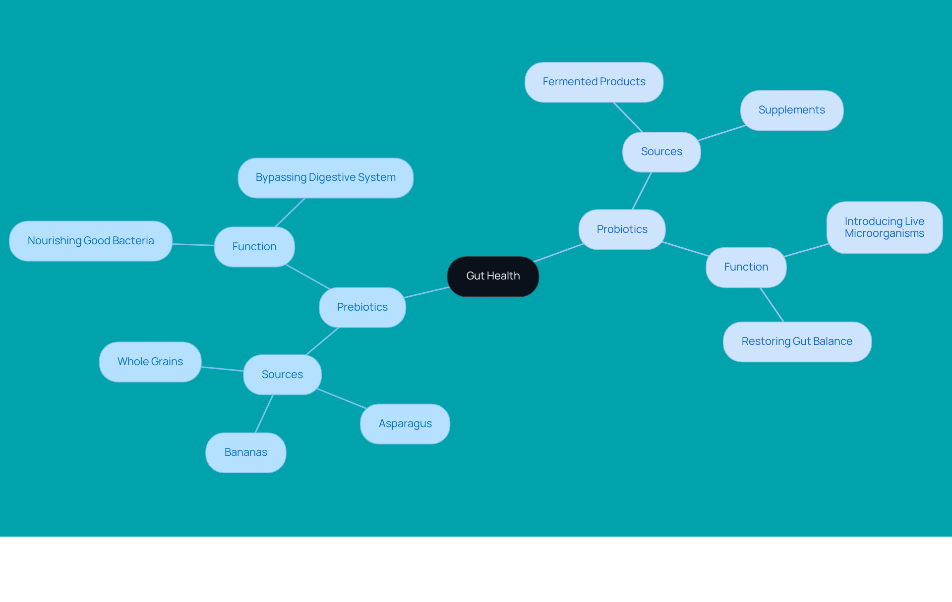 The central node represents gut health, while the branches show the differences and roles of prebiotics and probiotics. Each color-coded branch helps you see how they contribute to your overall well-being. The central node represents gut health, while the branches show the differences and roles of prebiotics and probiotics. Each color-coded branch helps you see how they contribute to your overall well-being.