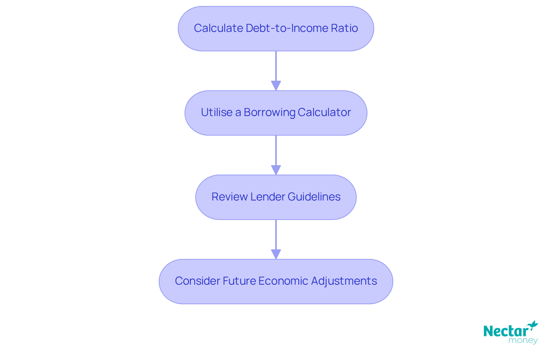 Evaluating Your Borrowing Capacity: A Detailed Guide | Nectar Money