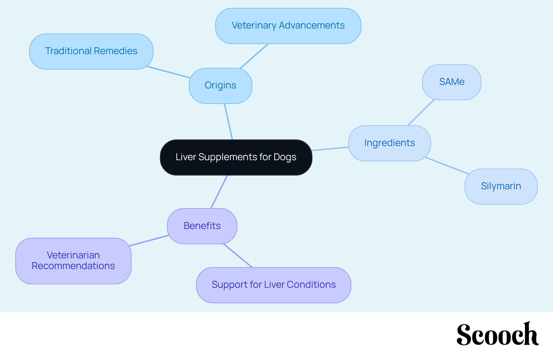 The center represents liver supplements, with branches showing where they come from, what they're made of, and how they help dogs. Each color-coded branch helps you see the connections easily.