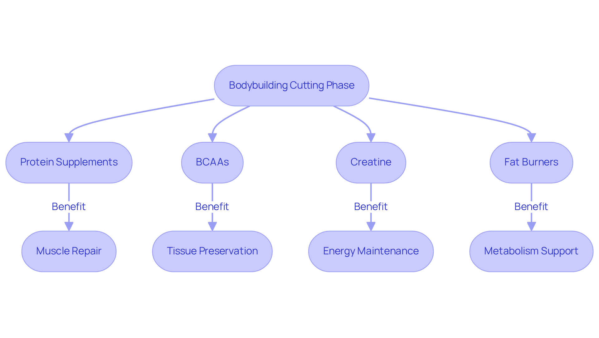 This flowchart shows how different supplements help bodybuilders during cutting phases. Each supplement leads to specific benefits that help maintain muscle and energy levels while losing fat. Follow the arrows to see how they connect!
