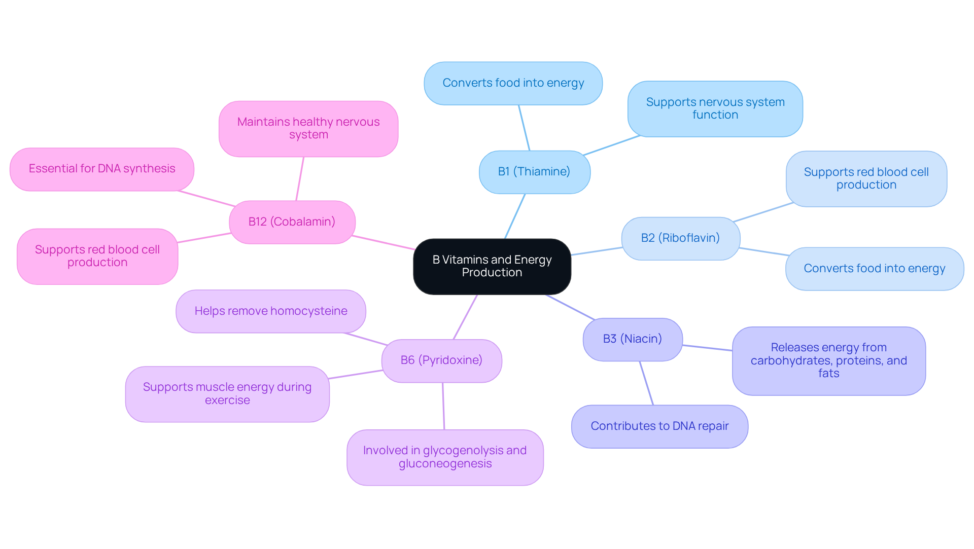 This mindmap illustrates how different B vitamins contribute to energy production and overall health. Each branch represents a specific vitamin and its functions, helping you understand how they work together to support your vitality. This mindmap illustrates how different B vitamins contribute to energy production and overall health. Each branch represents a specific vitamin and its functions, helping you understand how they work together to support your vitality.