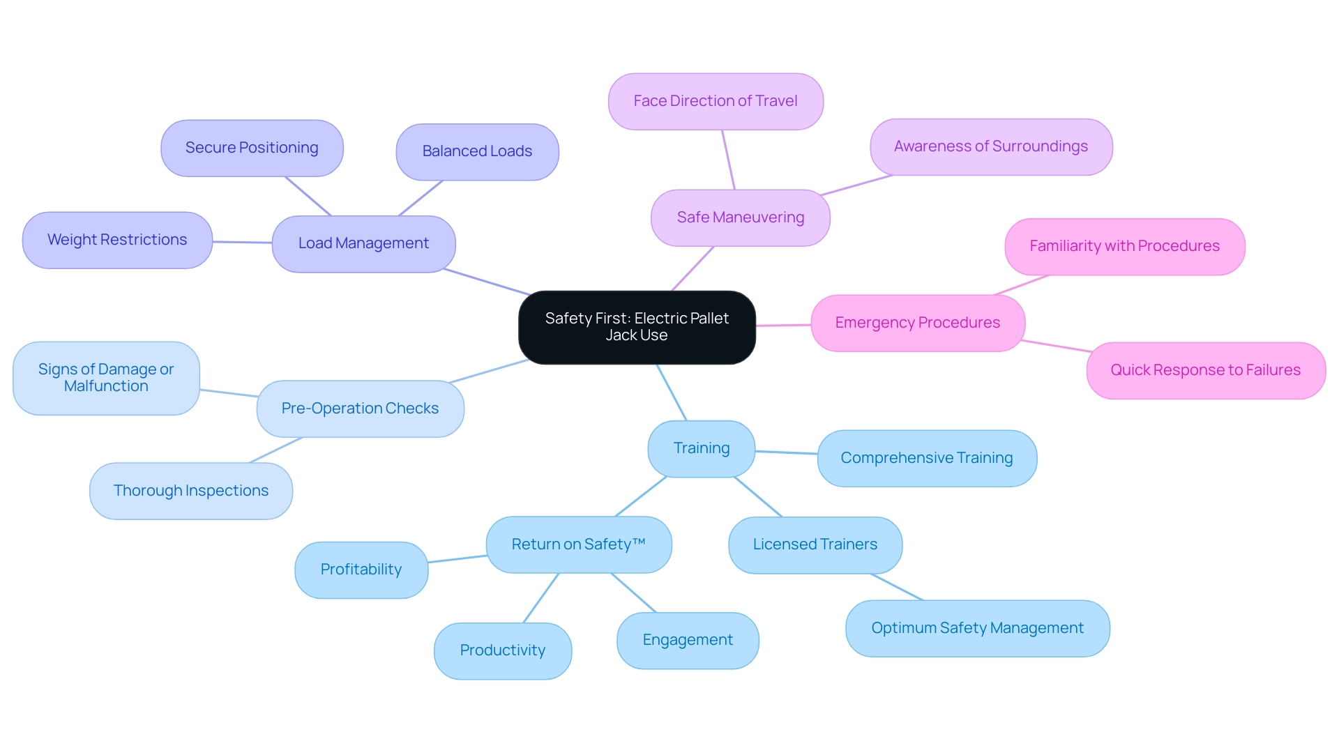 Each branch represents a key safety practice, with sub-branches detailing specific aspects of each practice.