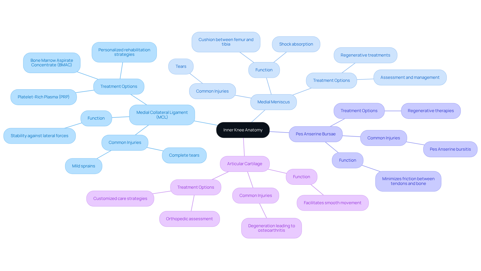 This mindmap illustrates the key structures of the inner knee and their roles. Each branch represents a different part of the knee, with further details on how they function and what injuries can occur. Follow the branches to see how everything connects and why it's important for knee health.