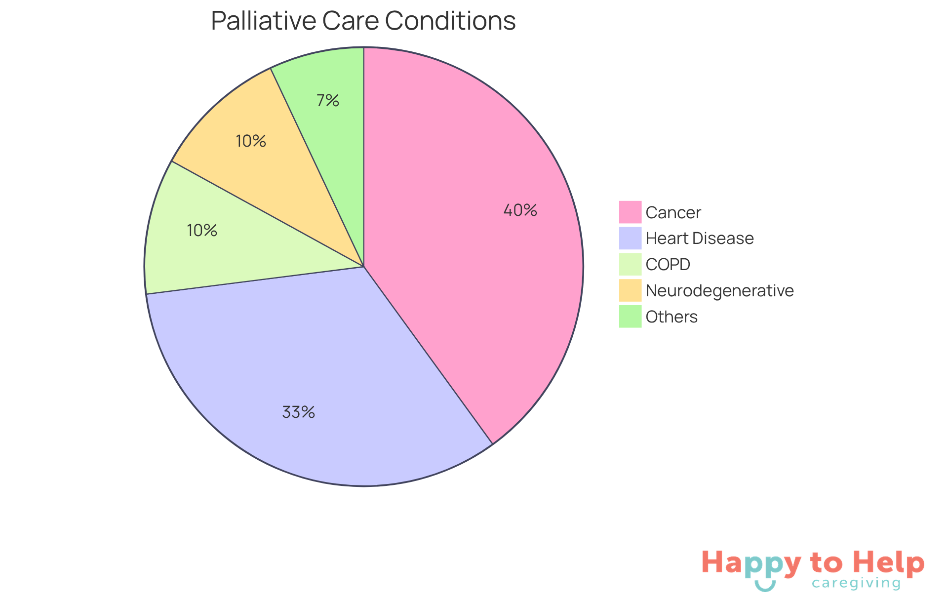 Each slice of the pie shows the percentage of adults affected by different serious illnesses that could benefit from palliative care. The larger the slice, the more individuals are impacted by that condition.