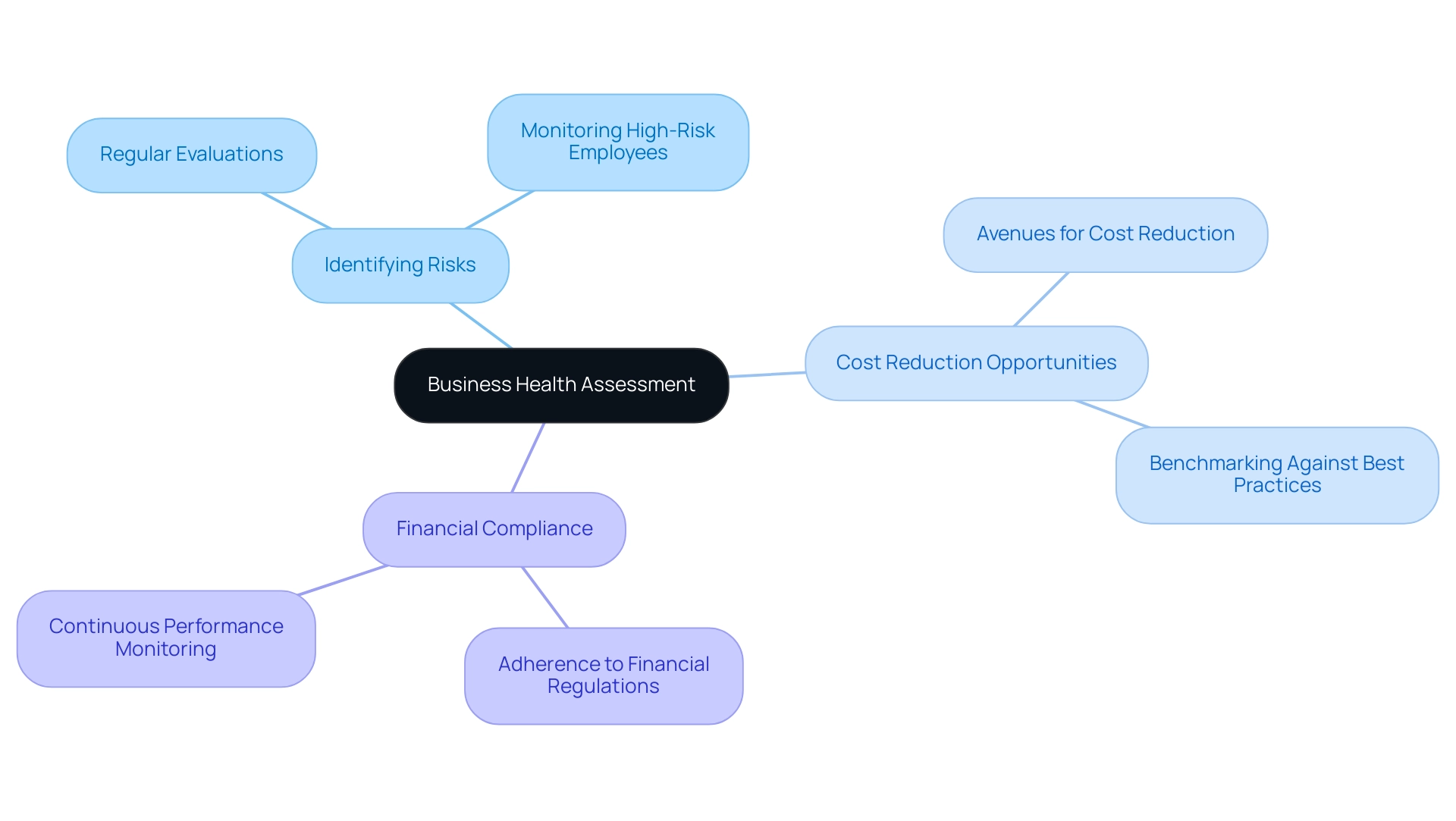 The central node represents the overall concept, with branches indicating key objectives of business health assessments and their respective strategies.