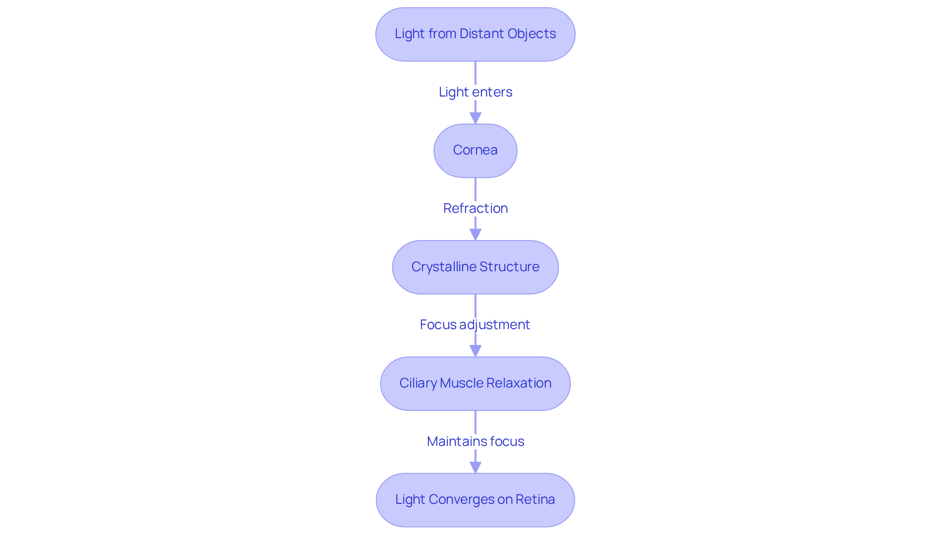 This flowchart illustrates how light travels through the eye to achieve clear vision. Each box represents a step in the process, from the initial light entry to the final convergence on the retina. Follow the arrows to understand how each component contributes to focusing light correctly.