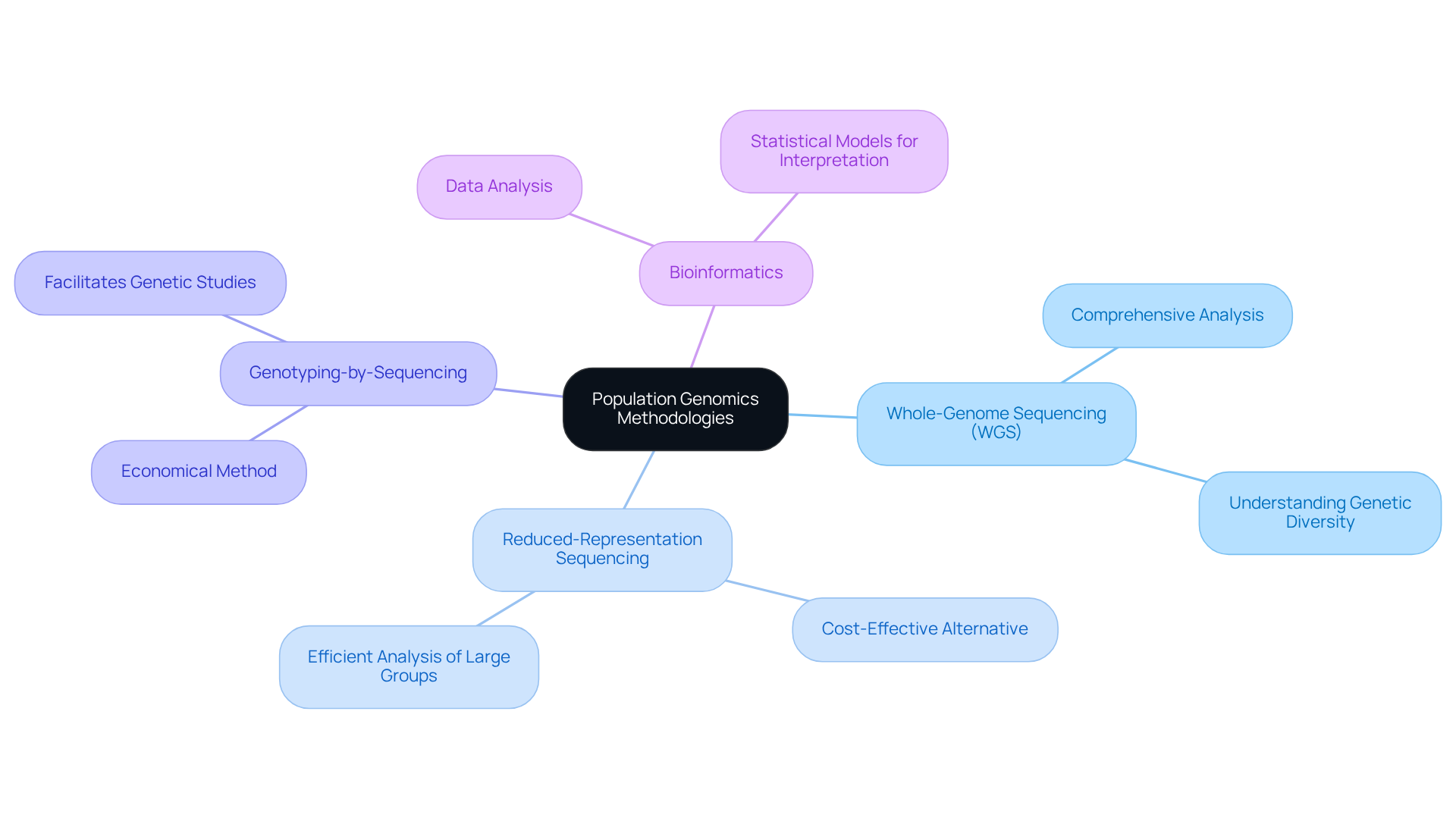 The central node represents the main topic, while the branches show different tools and techniques used in genomic studies. Each branch explains how these methods contribute to understanding genetic diversity and evolutionary processes.