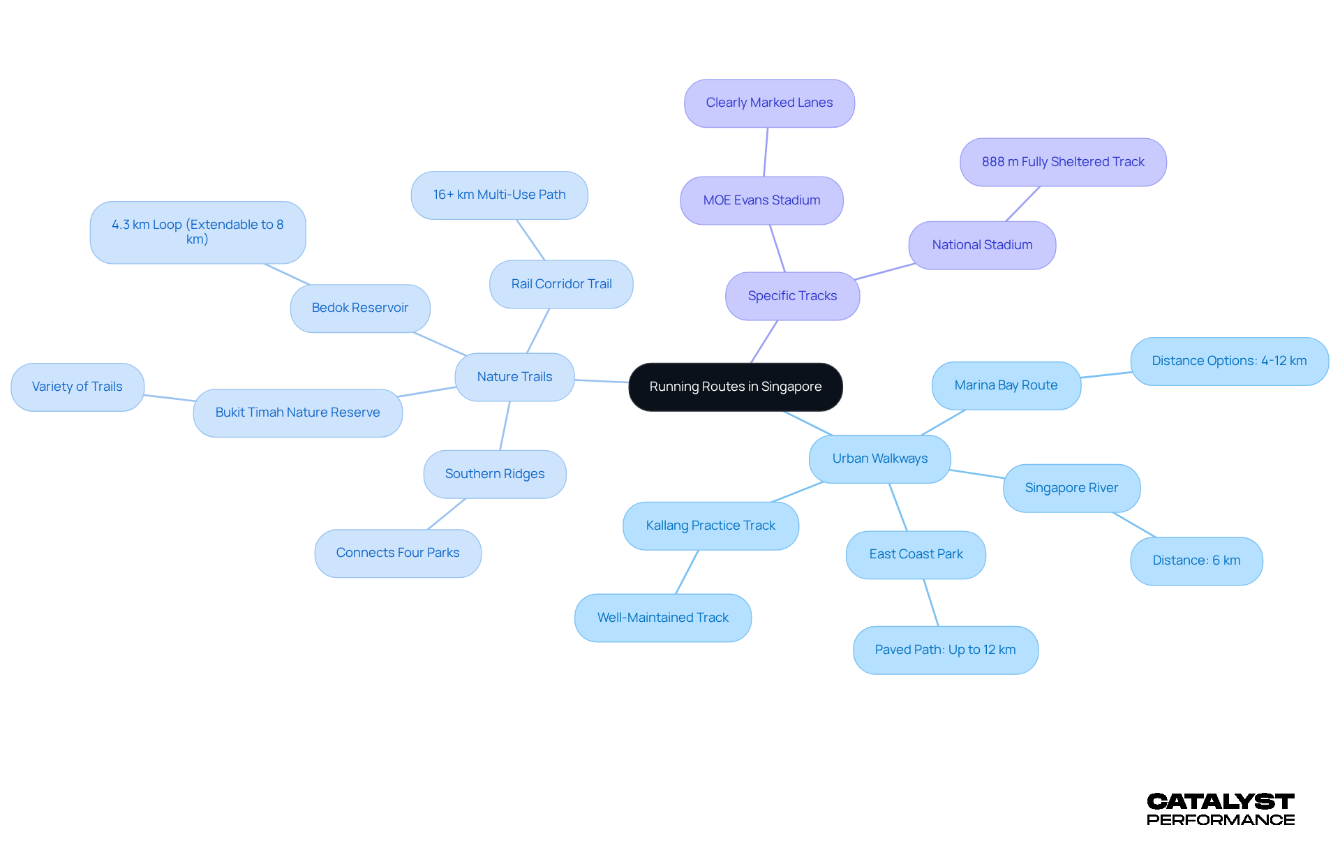 The central node represents the main topic of running routes, while the branches show different types of paths and specific examples. Each color-coded branch helps you see the variety of options available for runners, making it easy to find a route that suits your preferences.