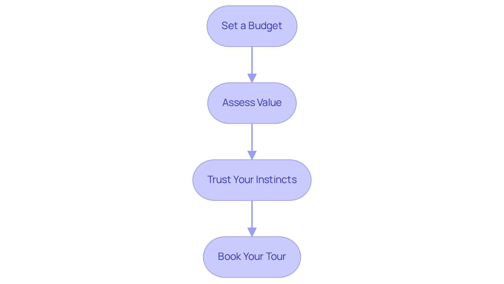 Follow the arrows through each step of the decision-making process: Start by setting your budget, then assess the value of options, trust your instincts, and finally, book your chosen tour. Each step builds upon the last to help you make the best choice for your experience.