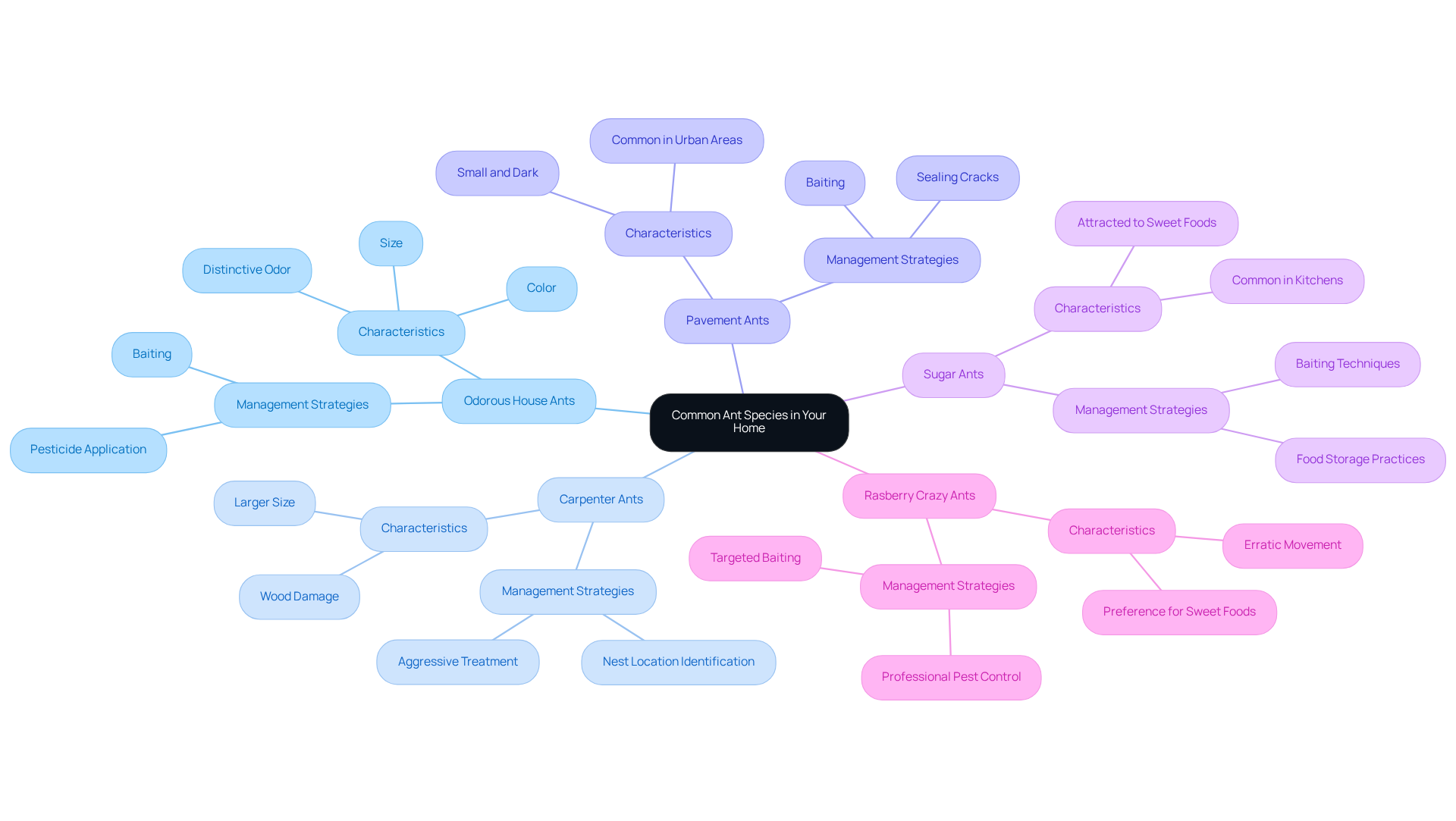 Start at the center with the main topic of ant species. Each branch represents a different species, and the sub-branches provide details about their traits and how to manage them. This helps you see at a glance what to look for and how to deal with each type.