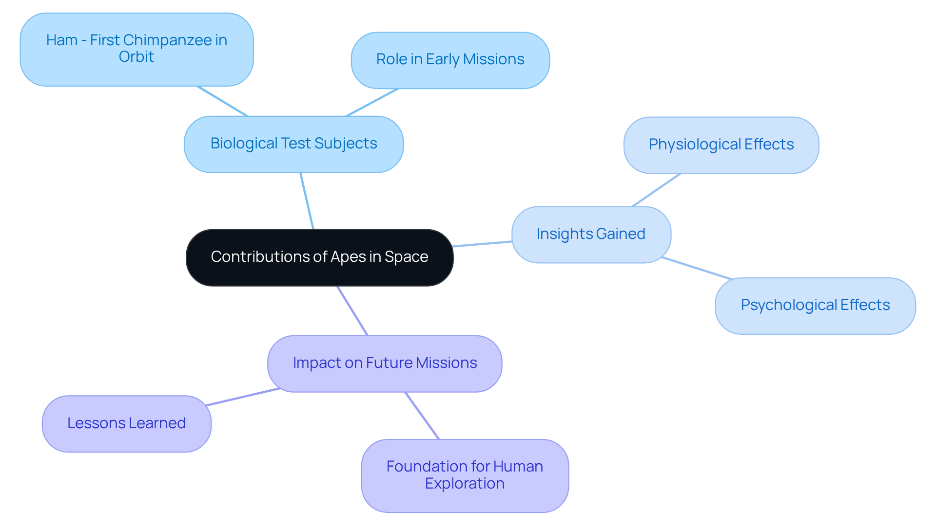 The central idea shows the role of apes in space. Each branch highlights different aspects of their contributions, helping you see how they paved the way for human space exploration. The central idea shows the role of apes in space. Each branch highlights different aspects of their contributions, helping you see how they paved the way for human space exploration.