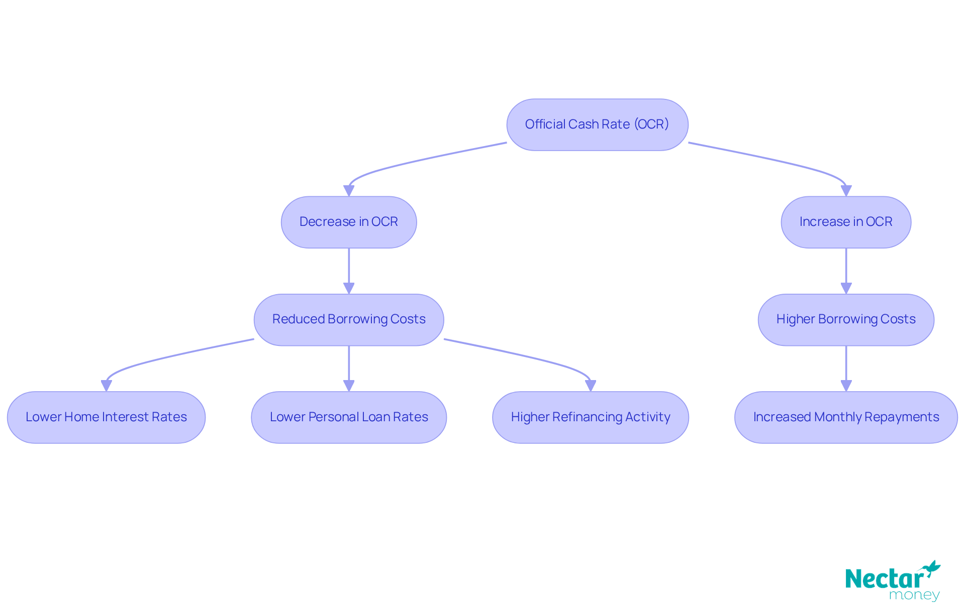 This flowchart shows how changes in the Official Cash Rate (OCR) influence interest rates and affect consumer actions. A decrease in OCR leads to lower borrowing costs, while an increase raises costs — follow the arrows to see the connections!