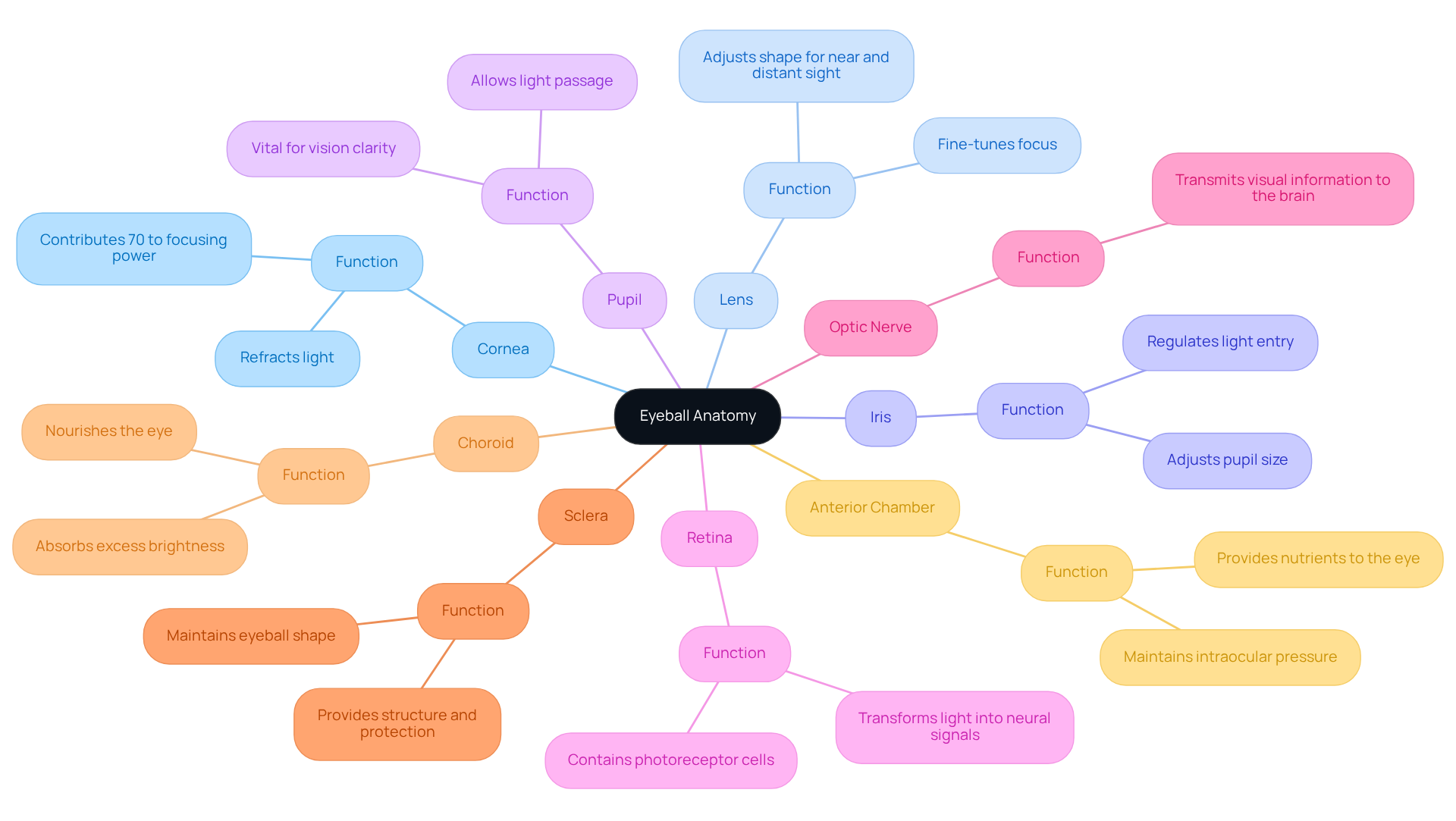 This mindmap illustrates the anatomy of the eyeball. Start at the center with 'Eyeball Anatomy', then follow the branches to learn about each part of the eye and its role in vision. Each color represents a different component, making it easy to see how they all connect.