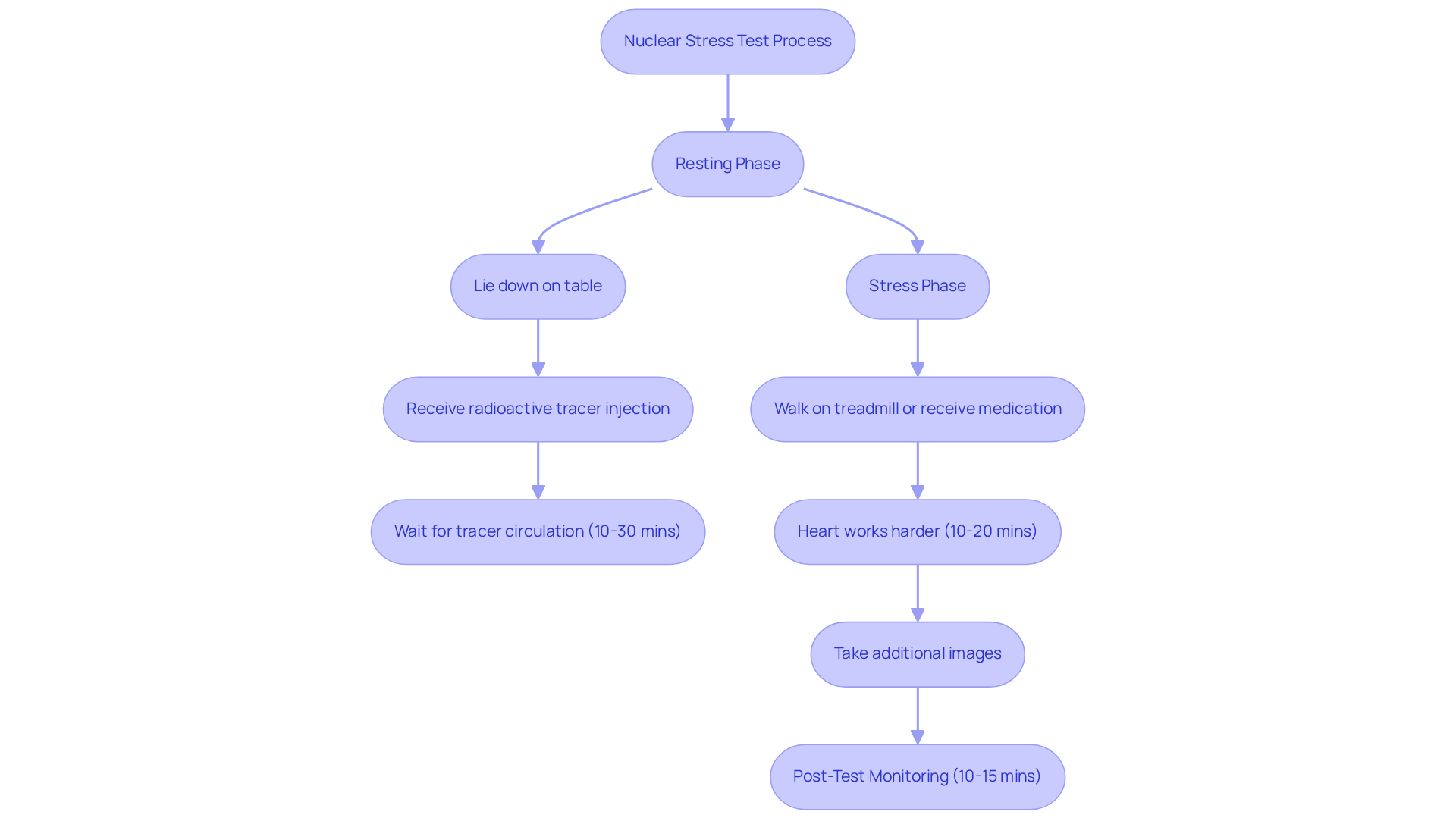 This flowchart guides you through the nuclear stress test process. Each box represents a step, and the arrows show the order in which you'll experience them. Follow the flow to understand what happens during your test!