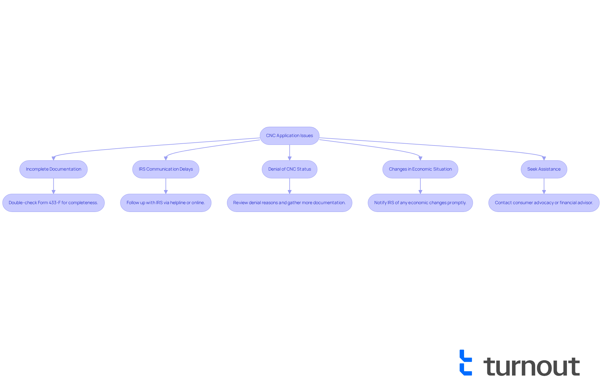 Master IRS Non Collectible Status: Your Step-by-Step Guide